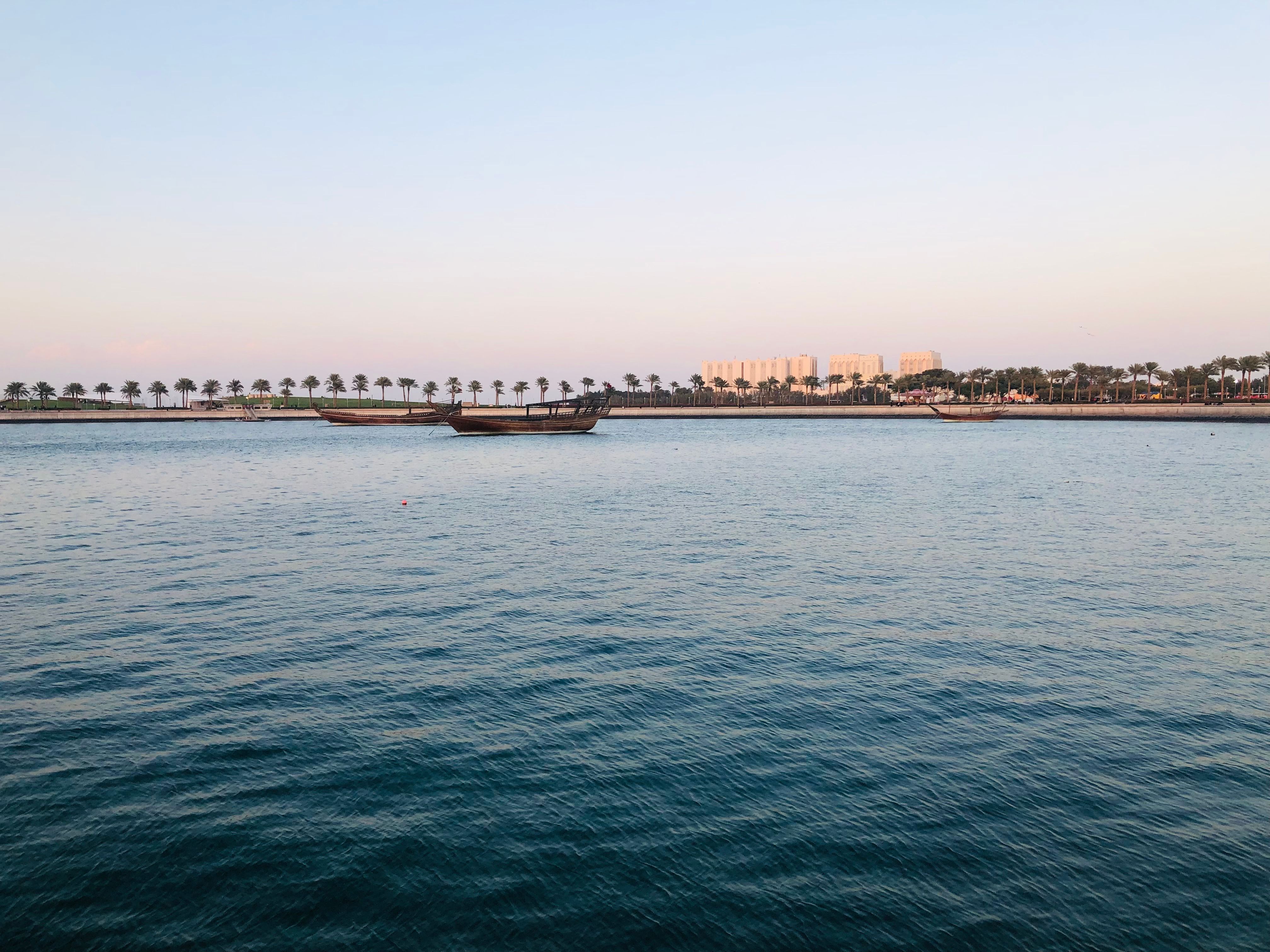 Serene Seaside View with Palm Trees at Sunset · Free Stock Photo
