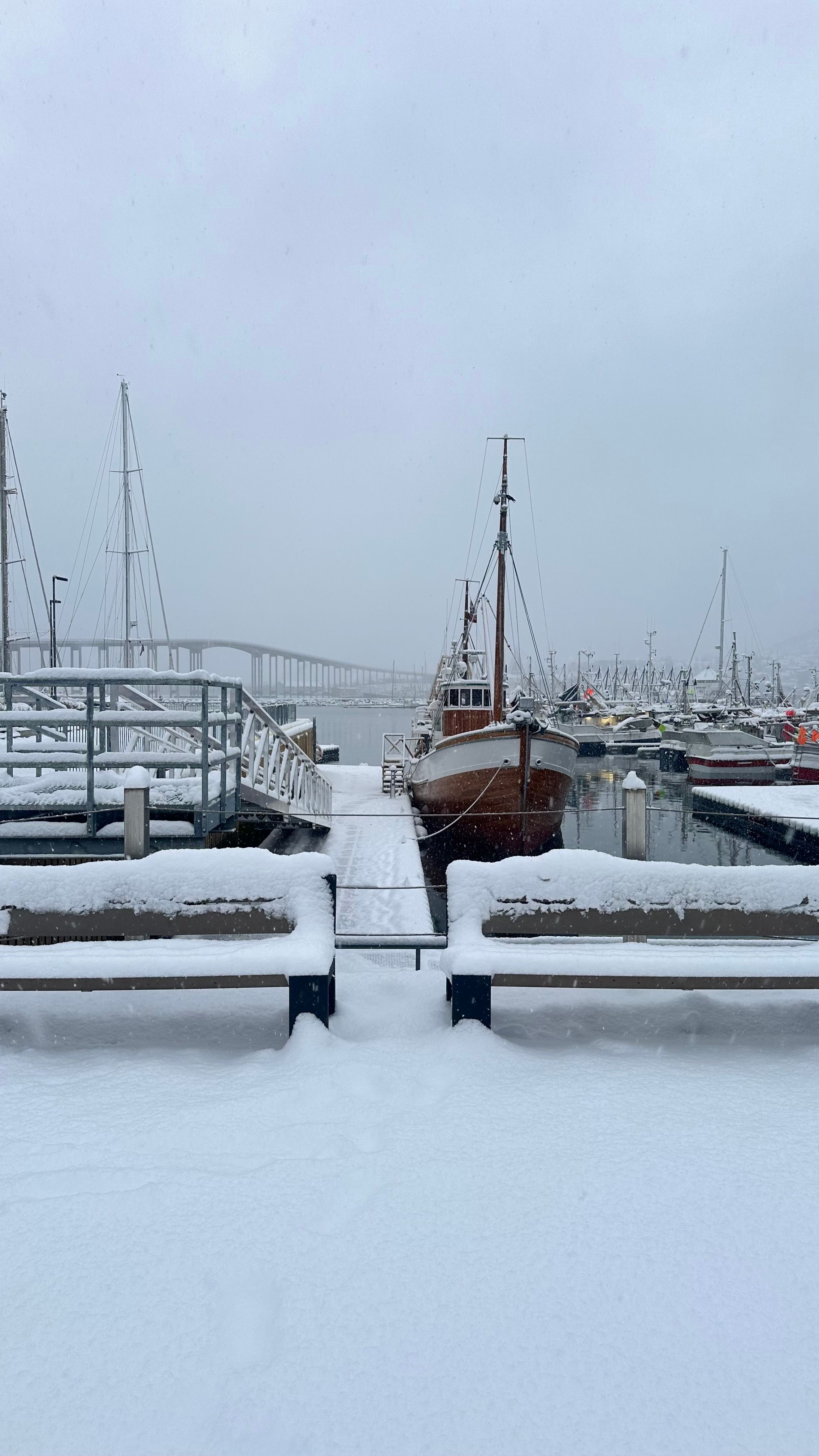 Snow-Covered Harbor with Boats in Winter · Free Stock Photo