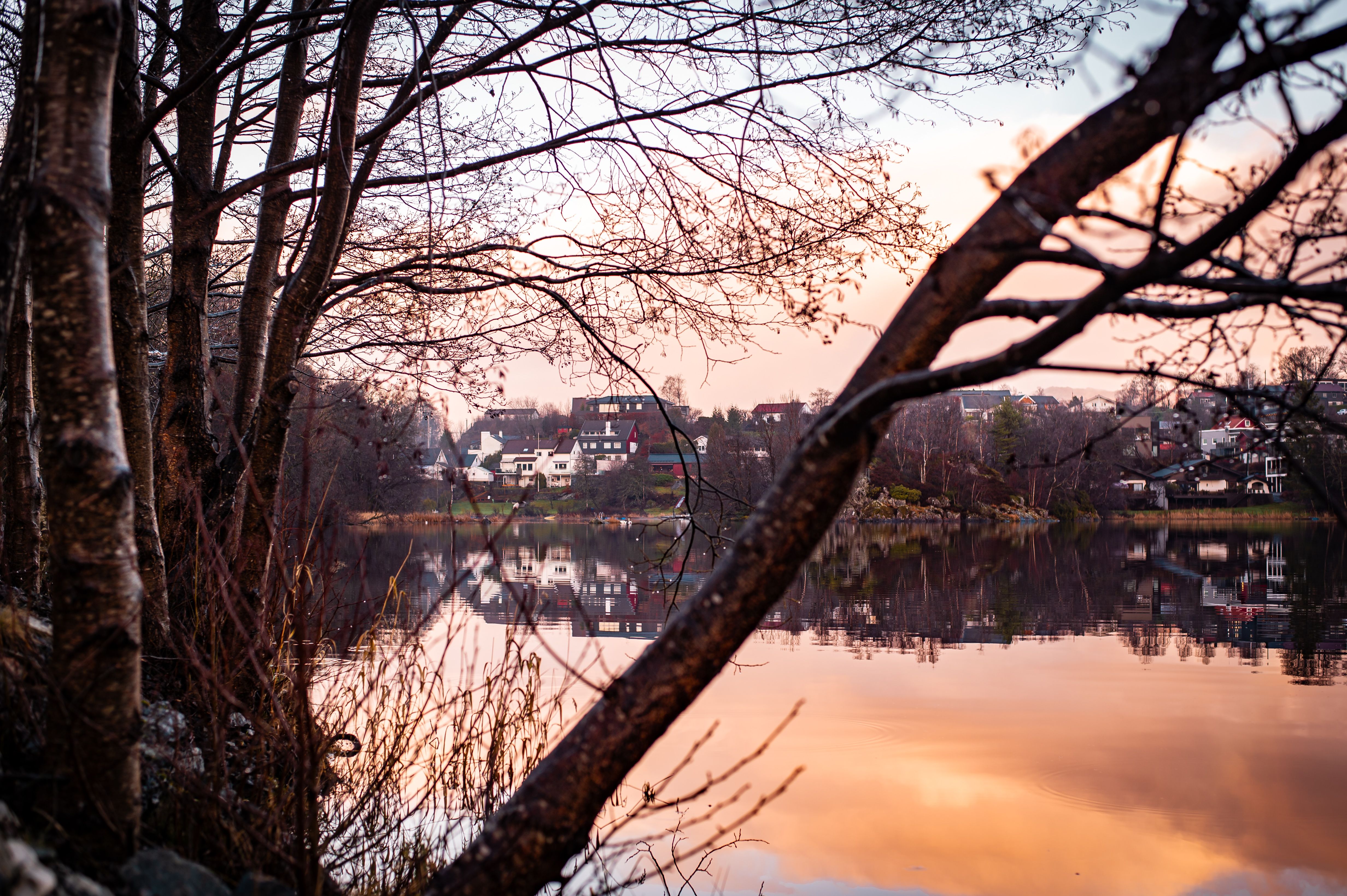 Serene Lakeside View at Sunset with Trees · Free Stock Photo