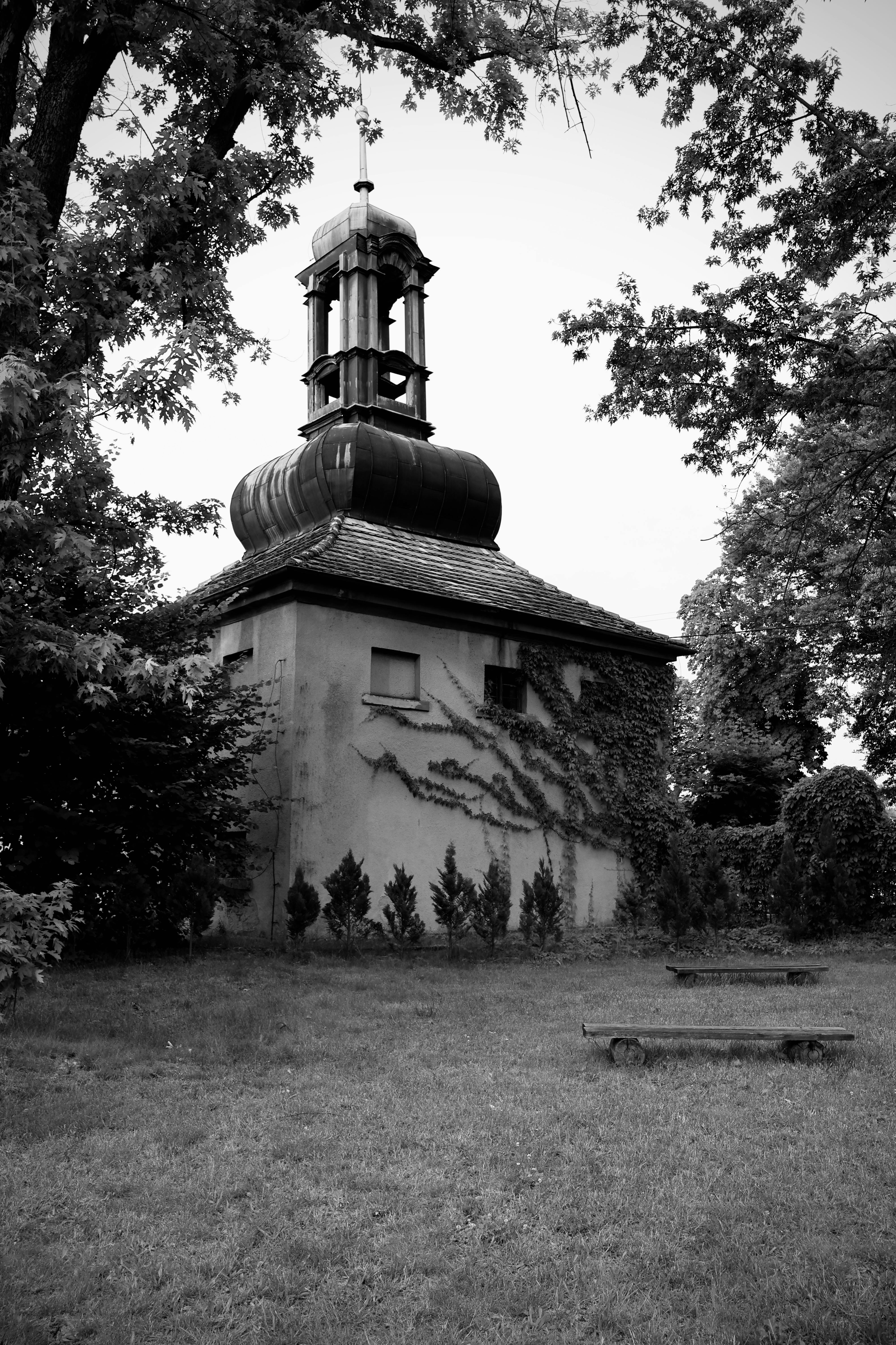 Tinker Bell Photos, Download The BEST Free Tinker Bell Stock Photos ...