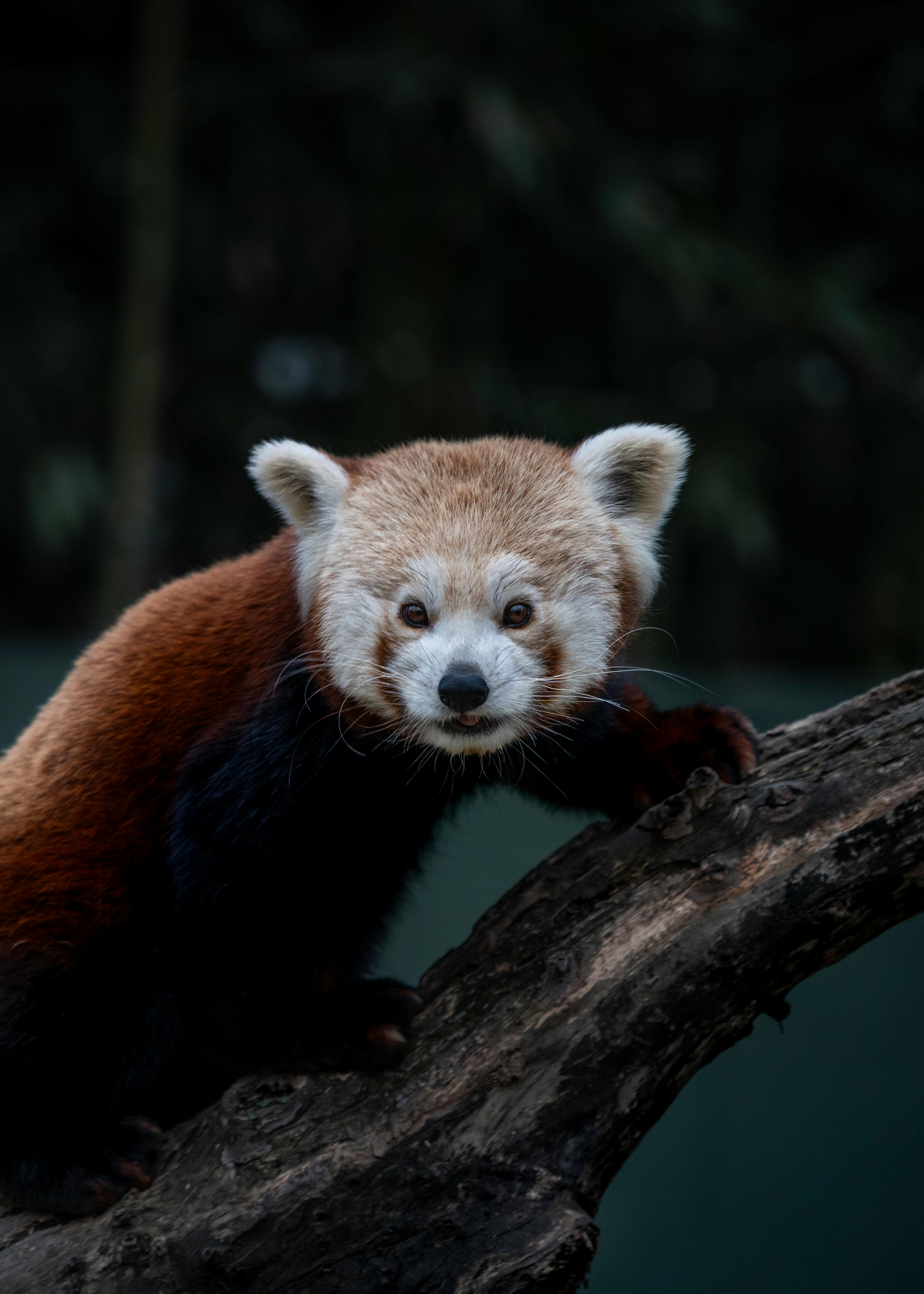 Images+Of+Light+In Photos, Download The BEST Free Images+Of+Light+In ...