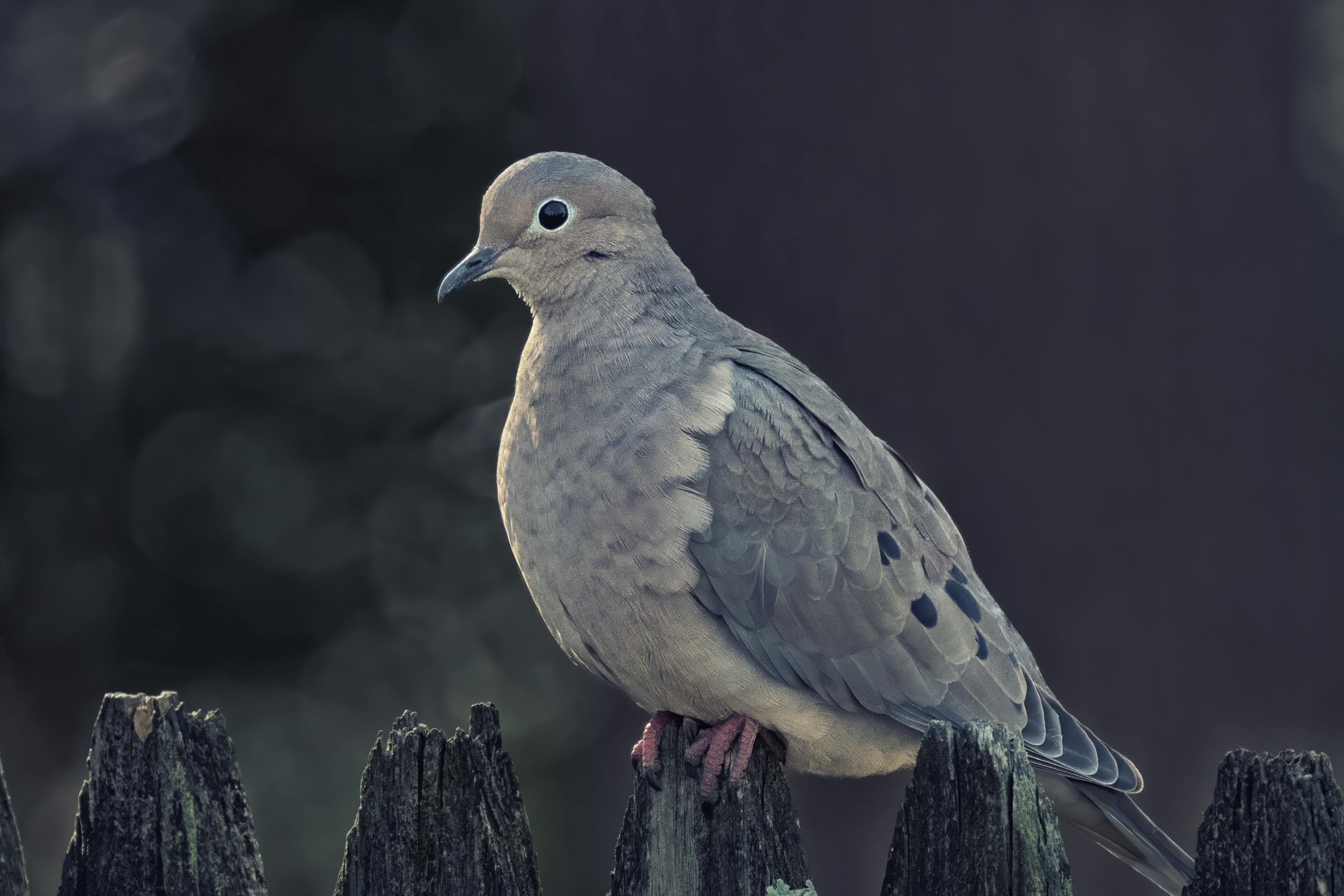 184+ Fotos y Imágenes de Bokep+jepang+terbaru+dari Gratis · Banco de Fotos Gratis