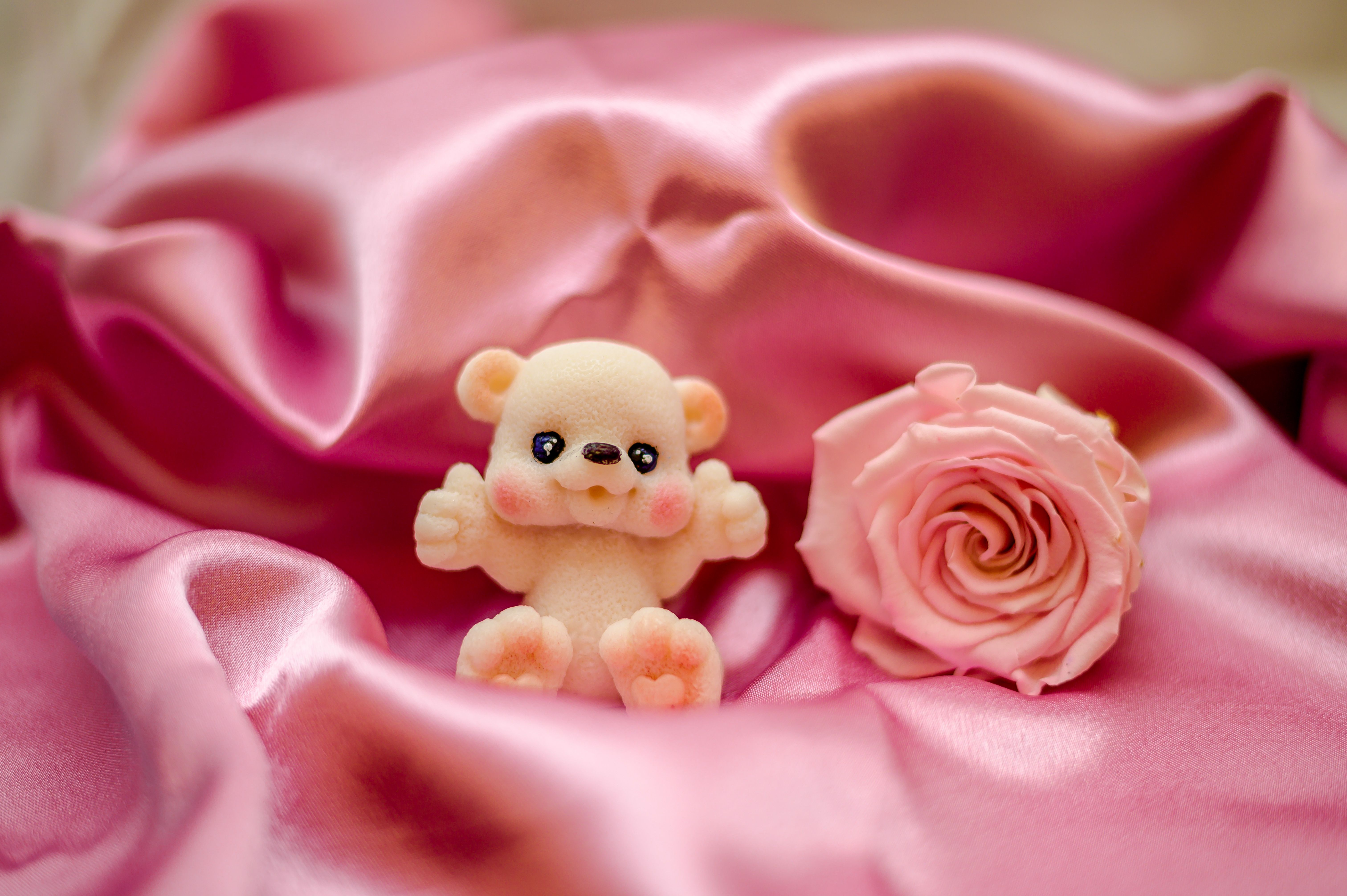 Cute Pink Photos, Download The BEST Free Cute Pink Stock Photos & HD Images
