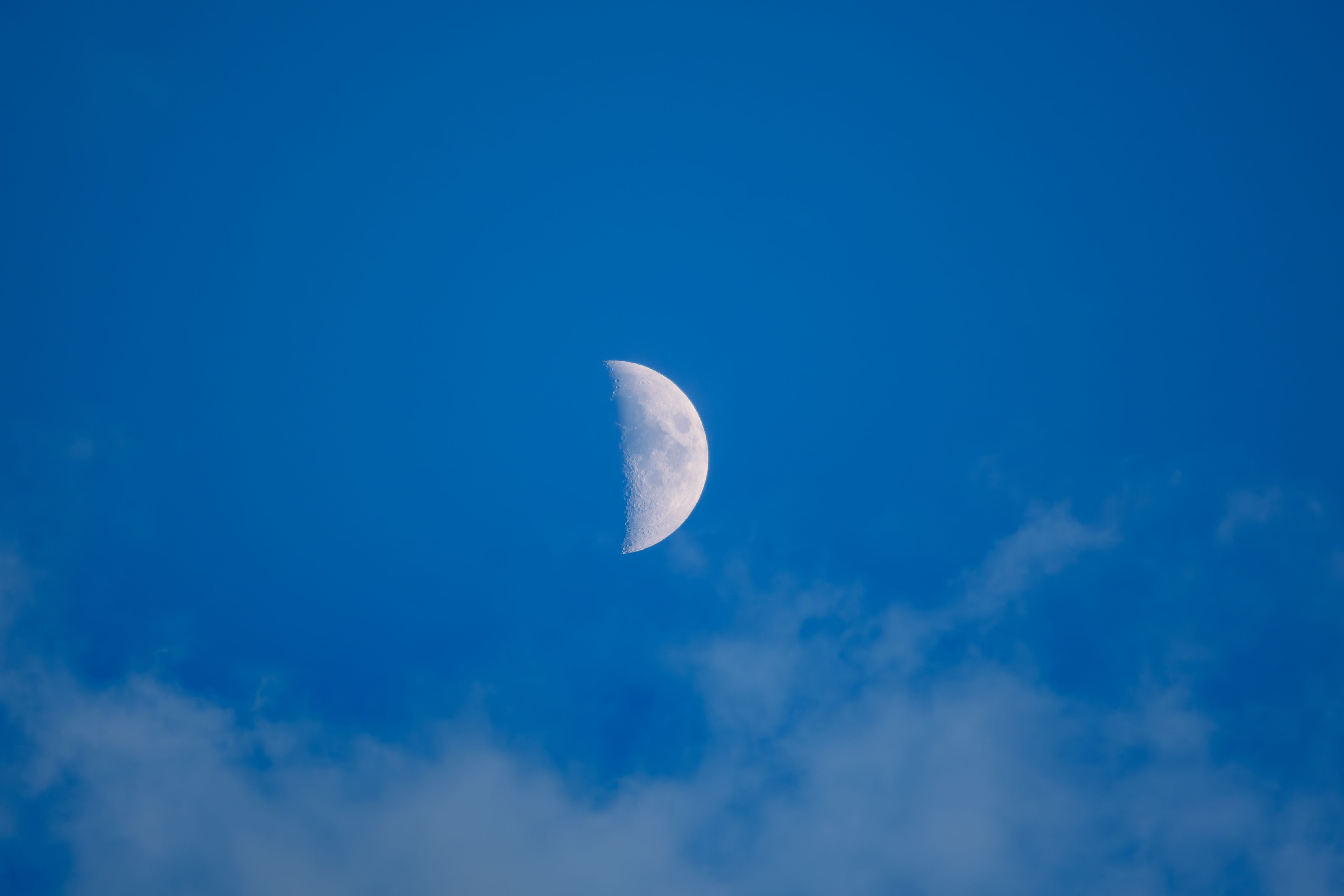 Moon in Half Phase on the Sky · Free Stock Photo