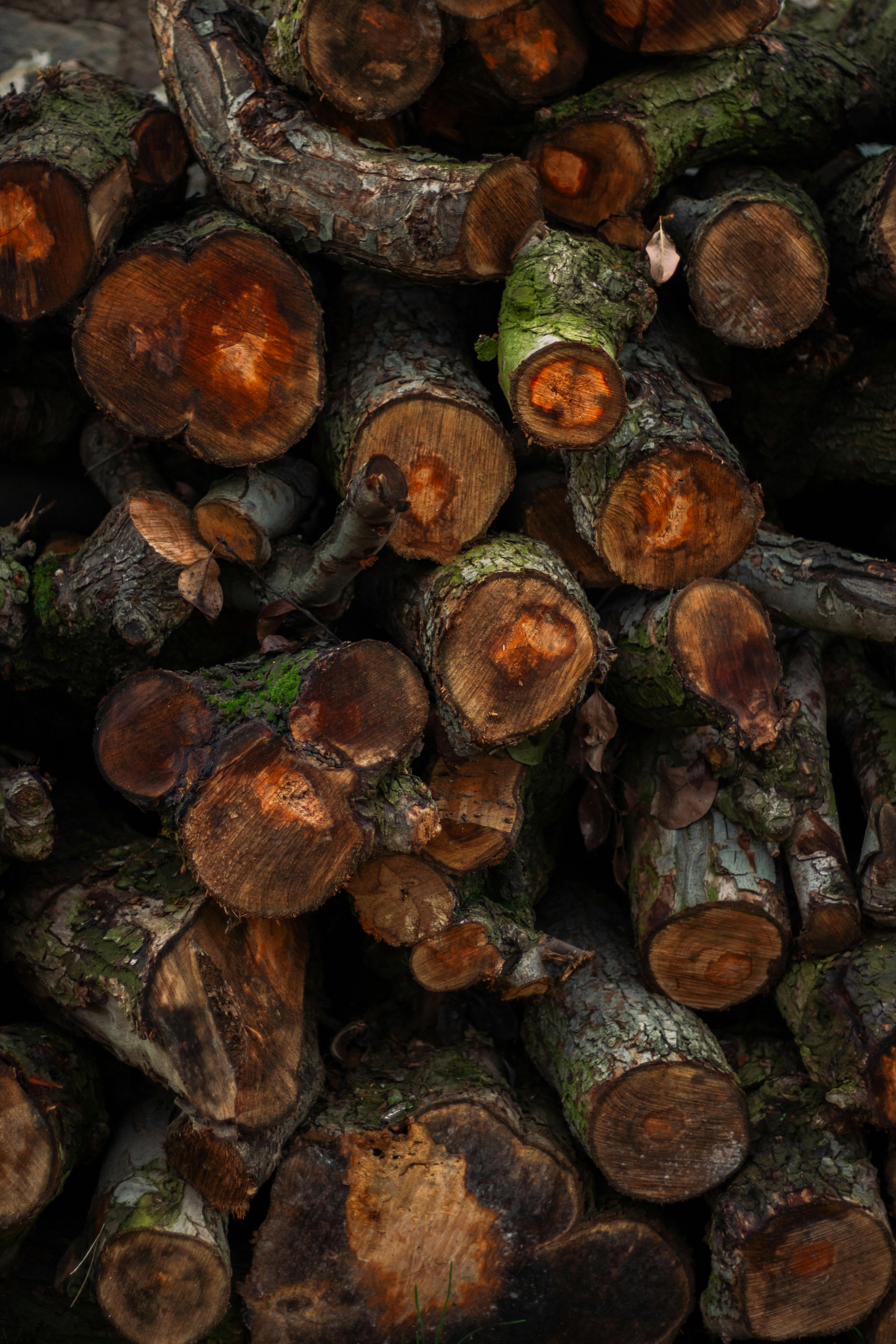 Snapfish+Account+Log+In+Page Photos, Download The BEST Free Snapfish ...