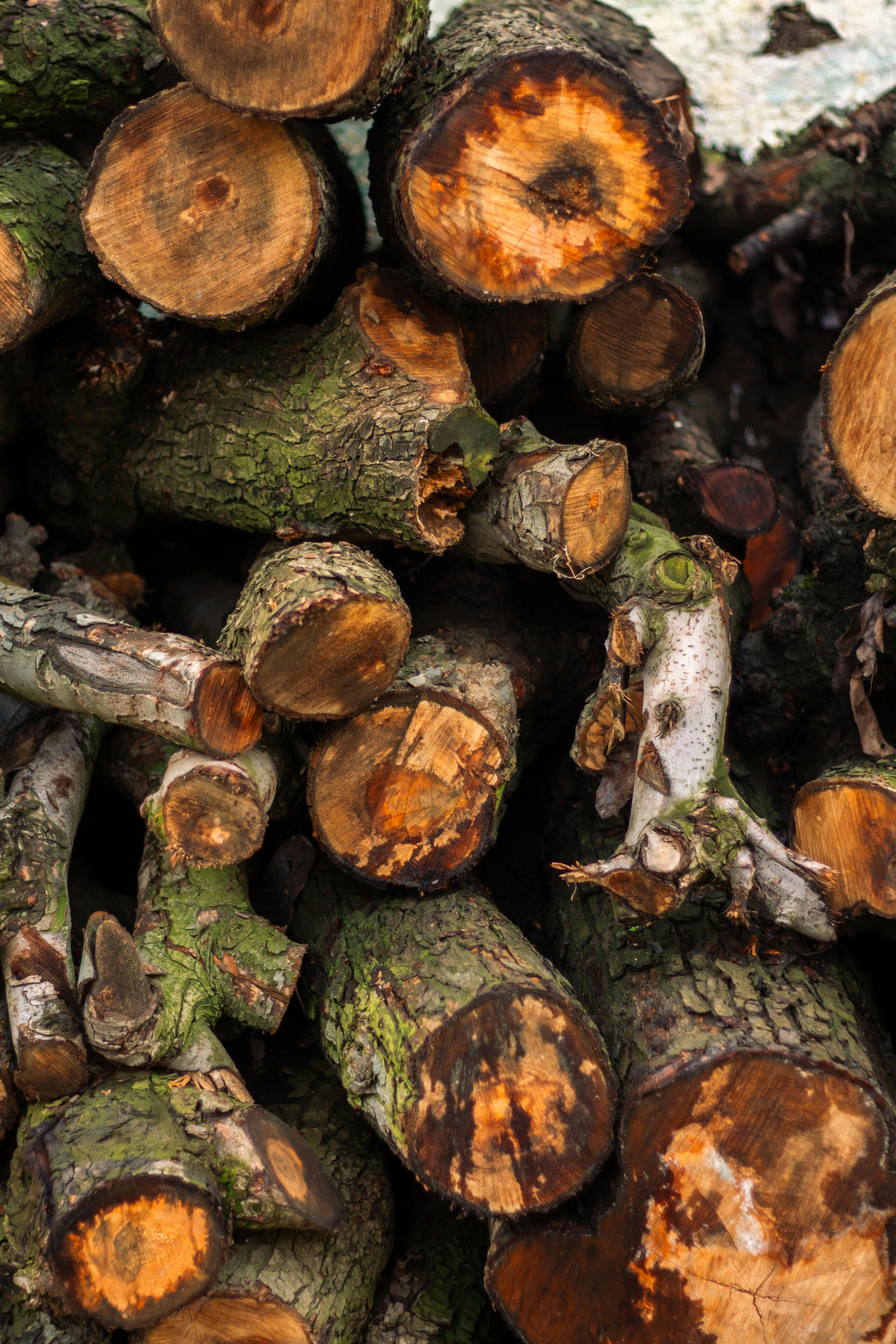 Snapfish+Account+Log+In+Page Photos, Download The BEST Free Snapfish ...