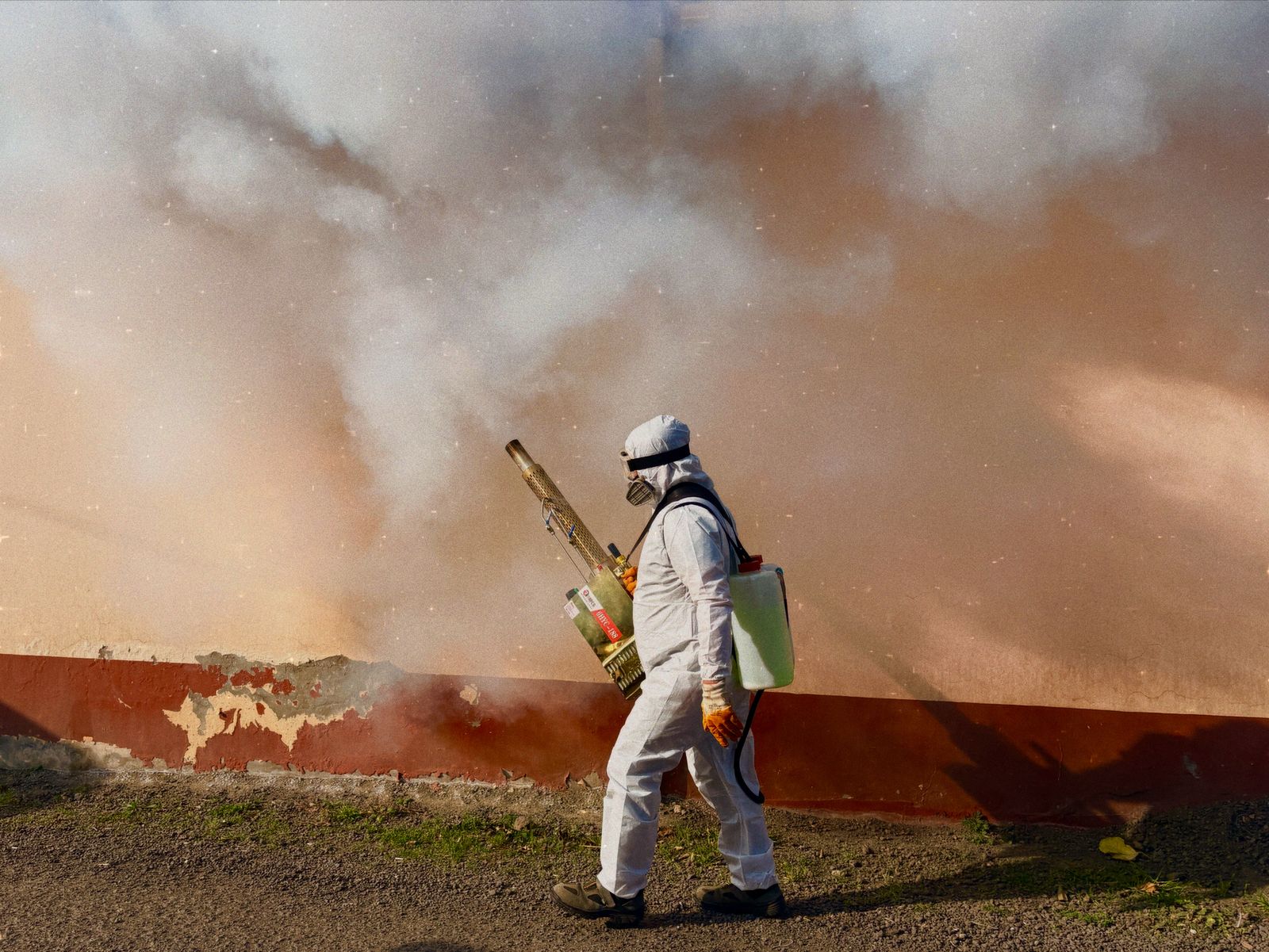 Pest Control Photos, Download The BEST Free Pest Control Stock Photos ...