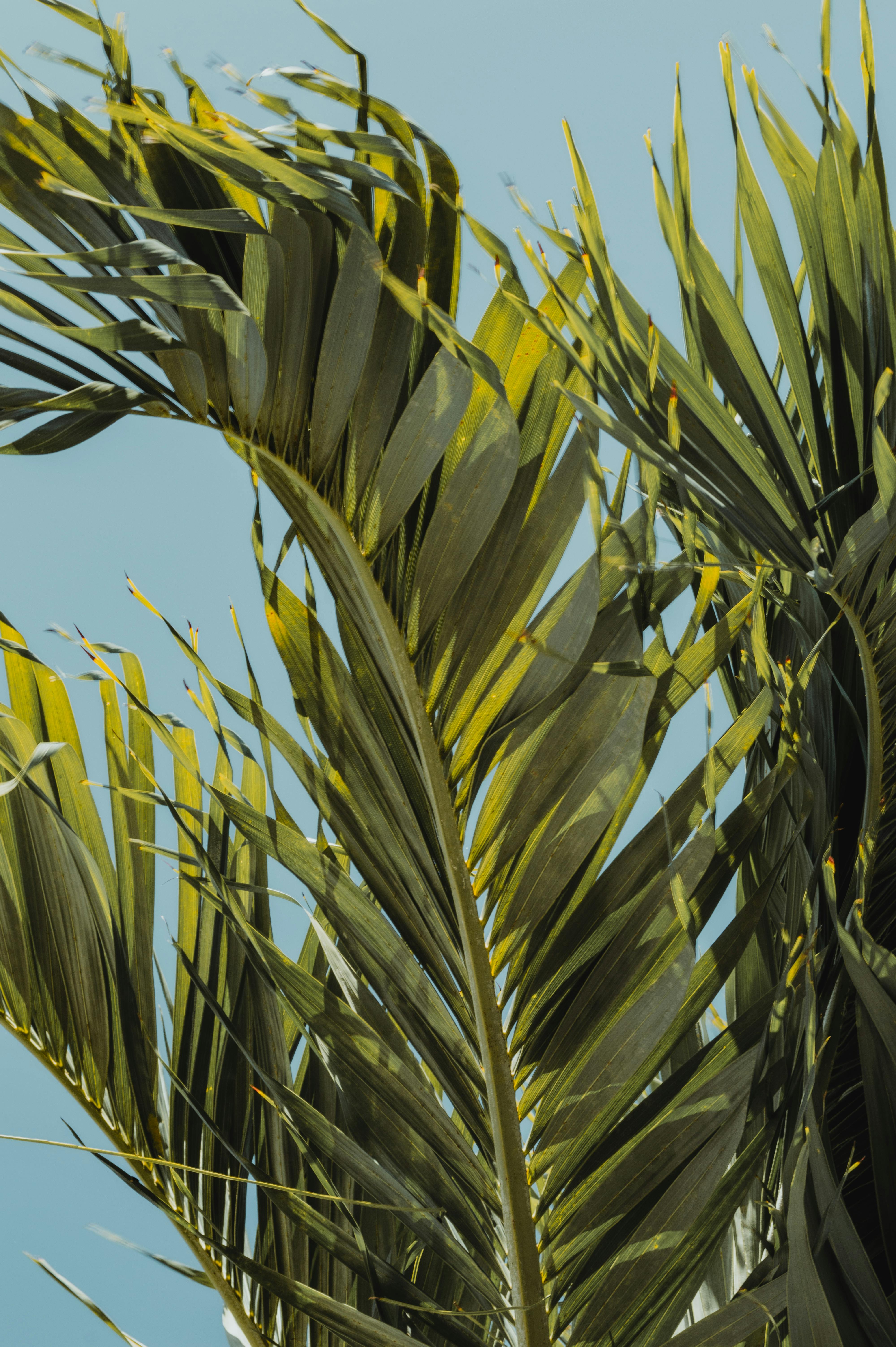 Smiling+Friends+Wallpapers Photos, Download The BEST Free Smiling ...