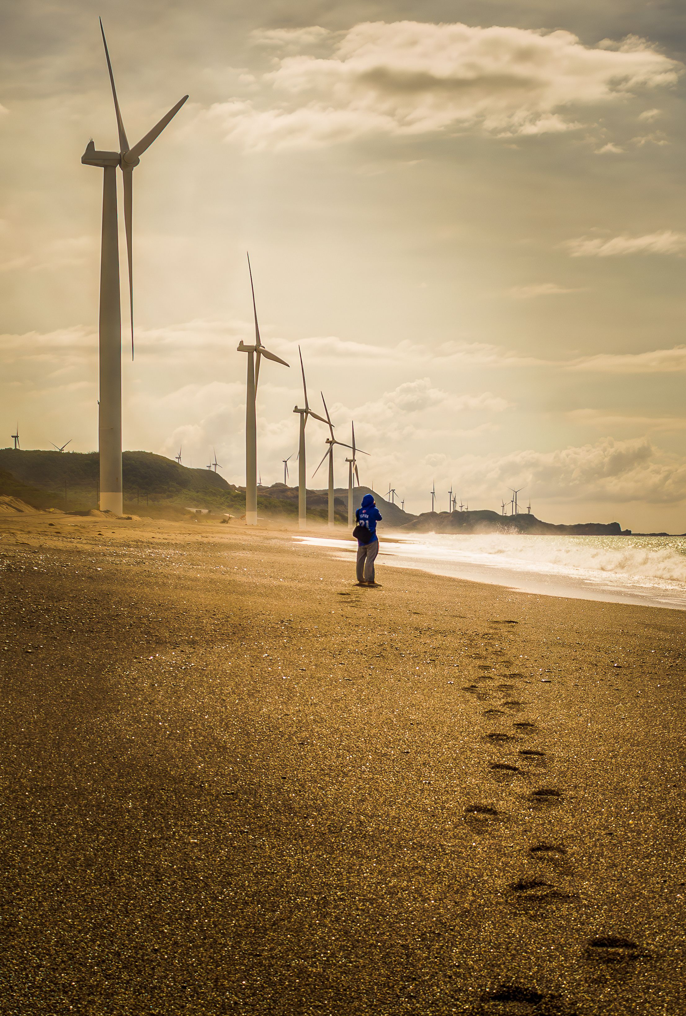 Serene Beach with Wind Turbines at Sunset · Free Stock Photo