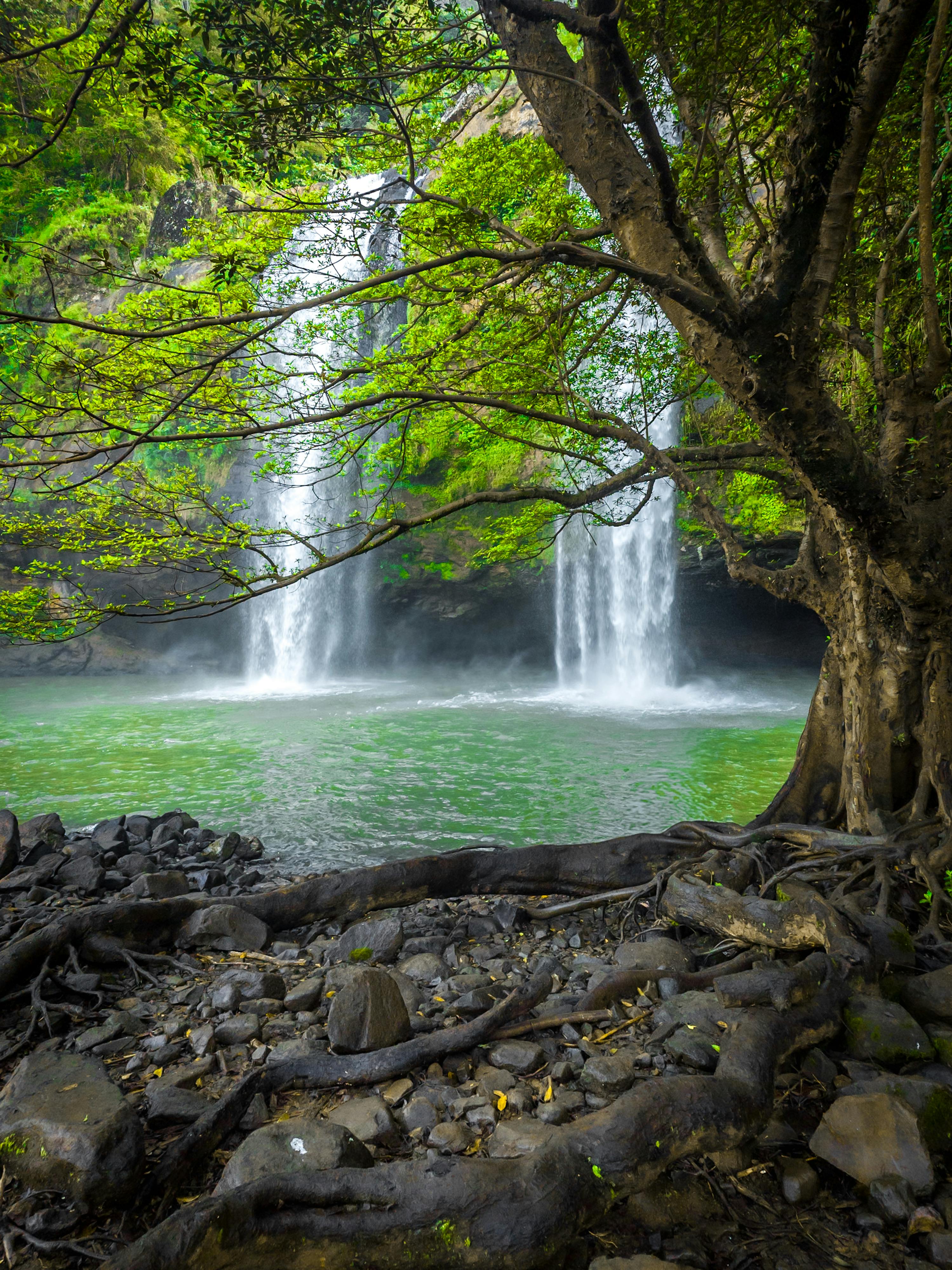 4k Surron Photos, Download The BEST Free 4k Surron Stock Photos & HD Images