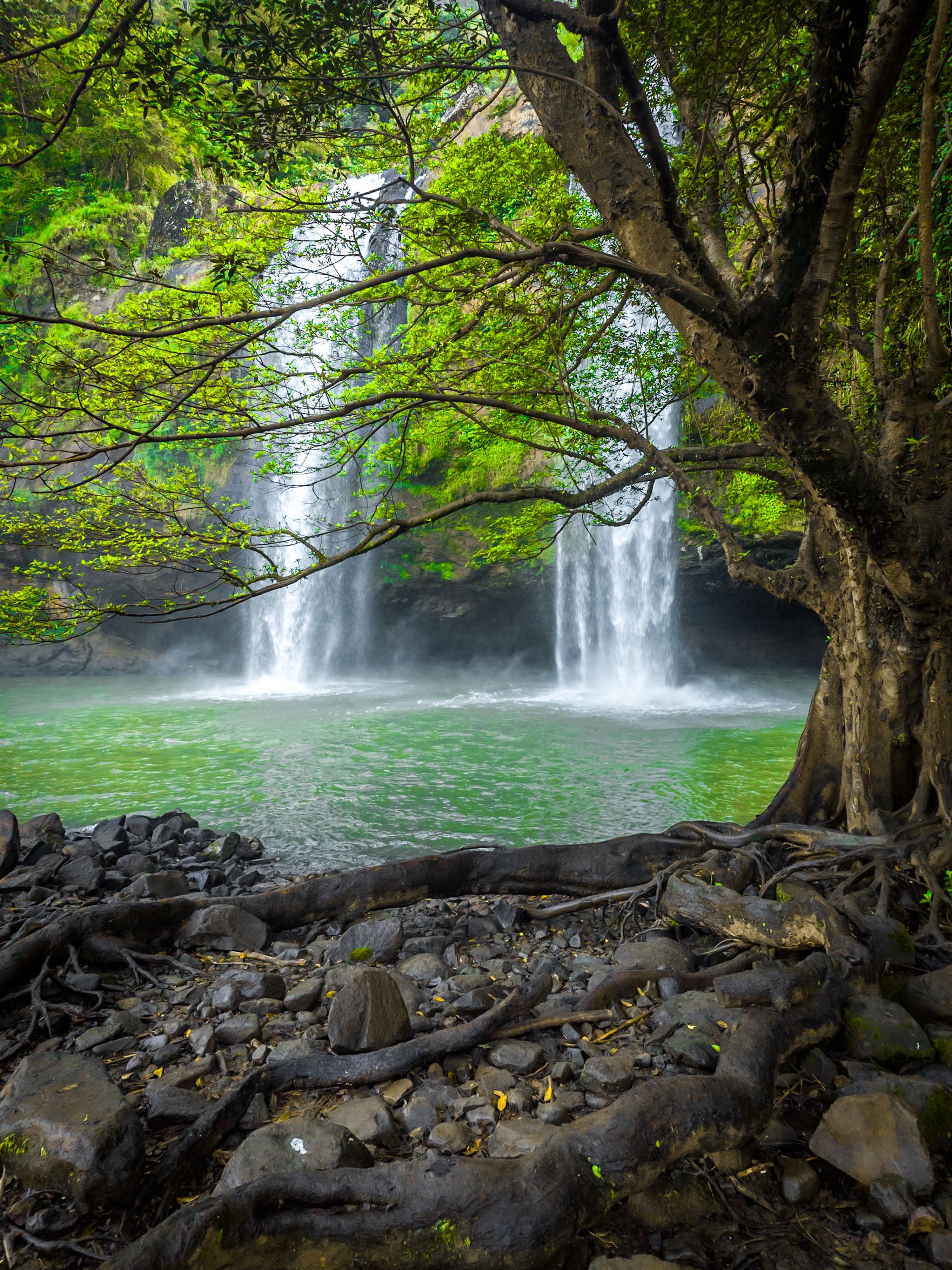 Scenic Twin Waterfalls in Ciletuh Geopark, Indonesia · Free Stock Photo