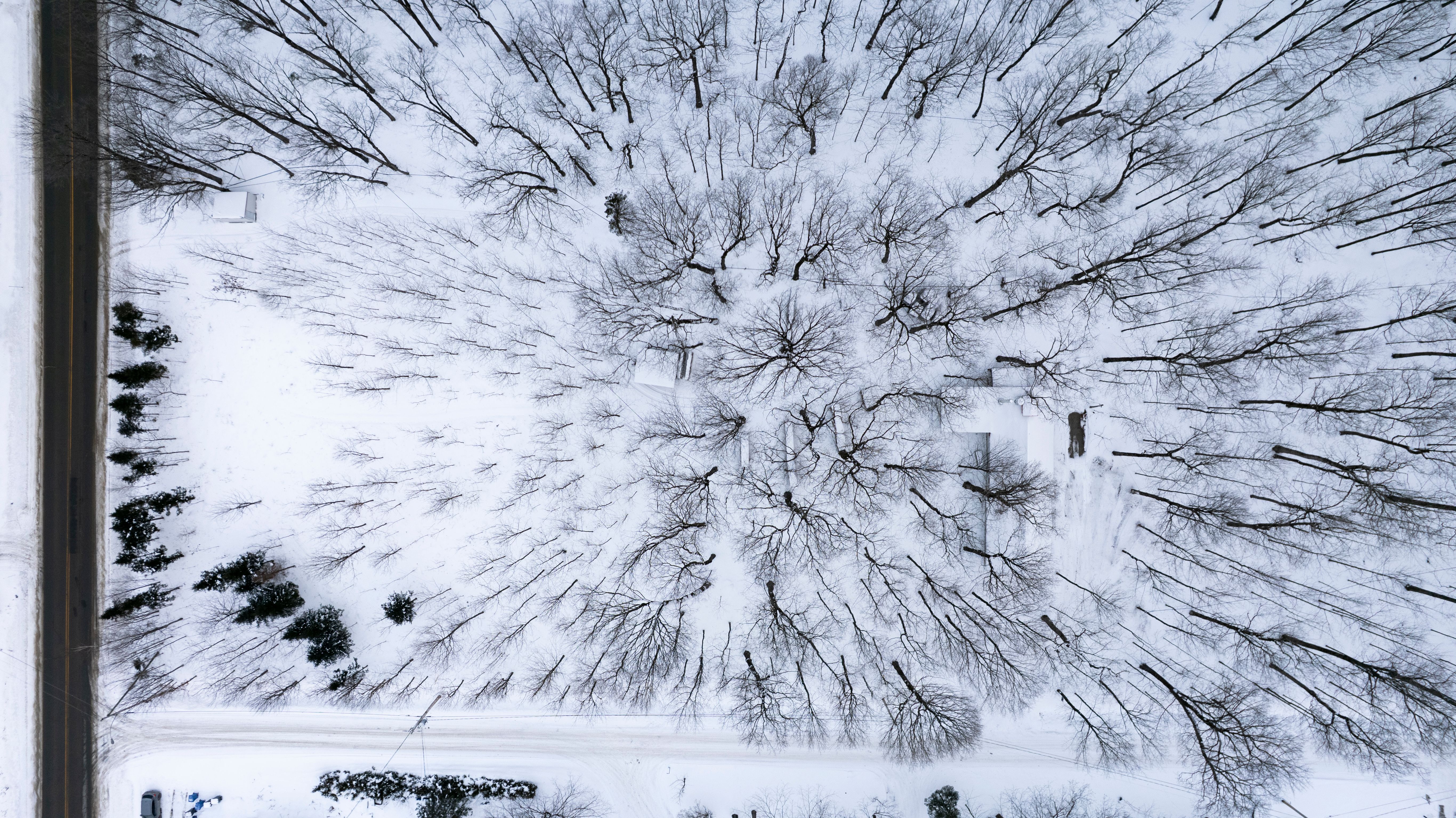 Snow-Covered Forest Aerial View in Québec Winter · Free Stock Photo