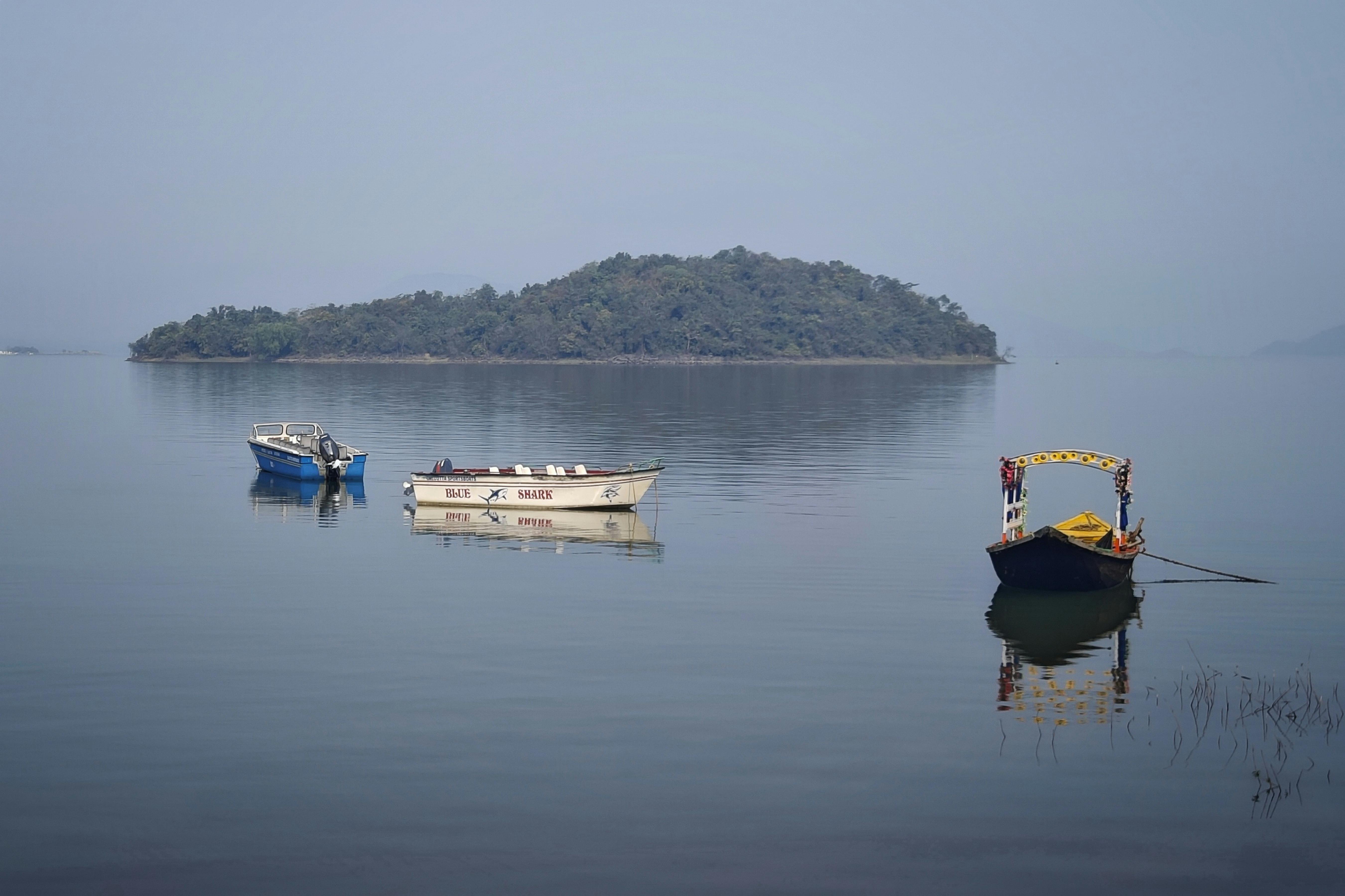 Gubby Wallpaper Photos, Download The BEST Free Gubby Wallpaper Stock ...