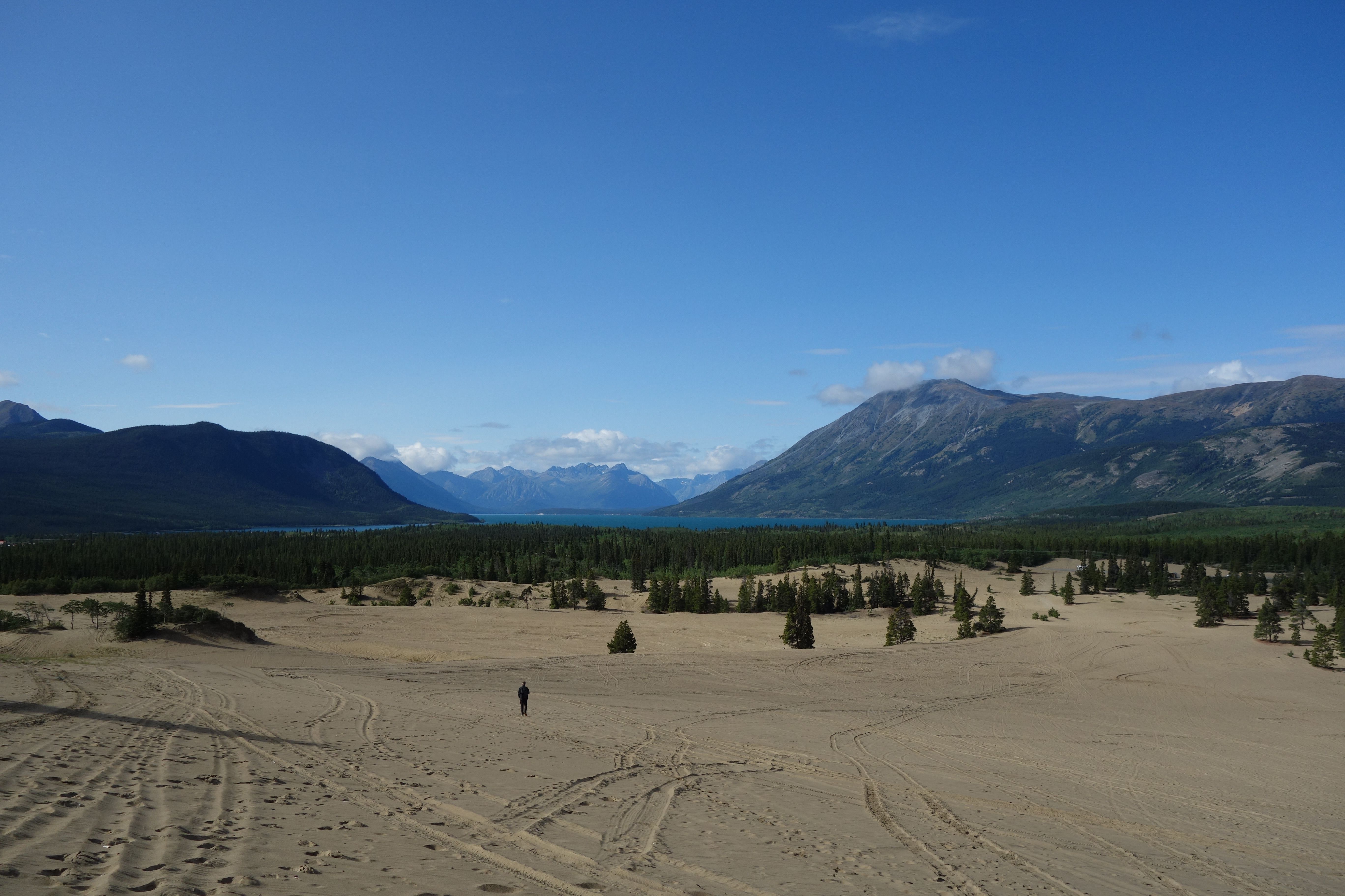 Scenic View of Canadian Desert Landscape · Free Stock Photo
