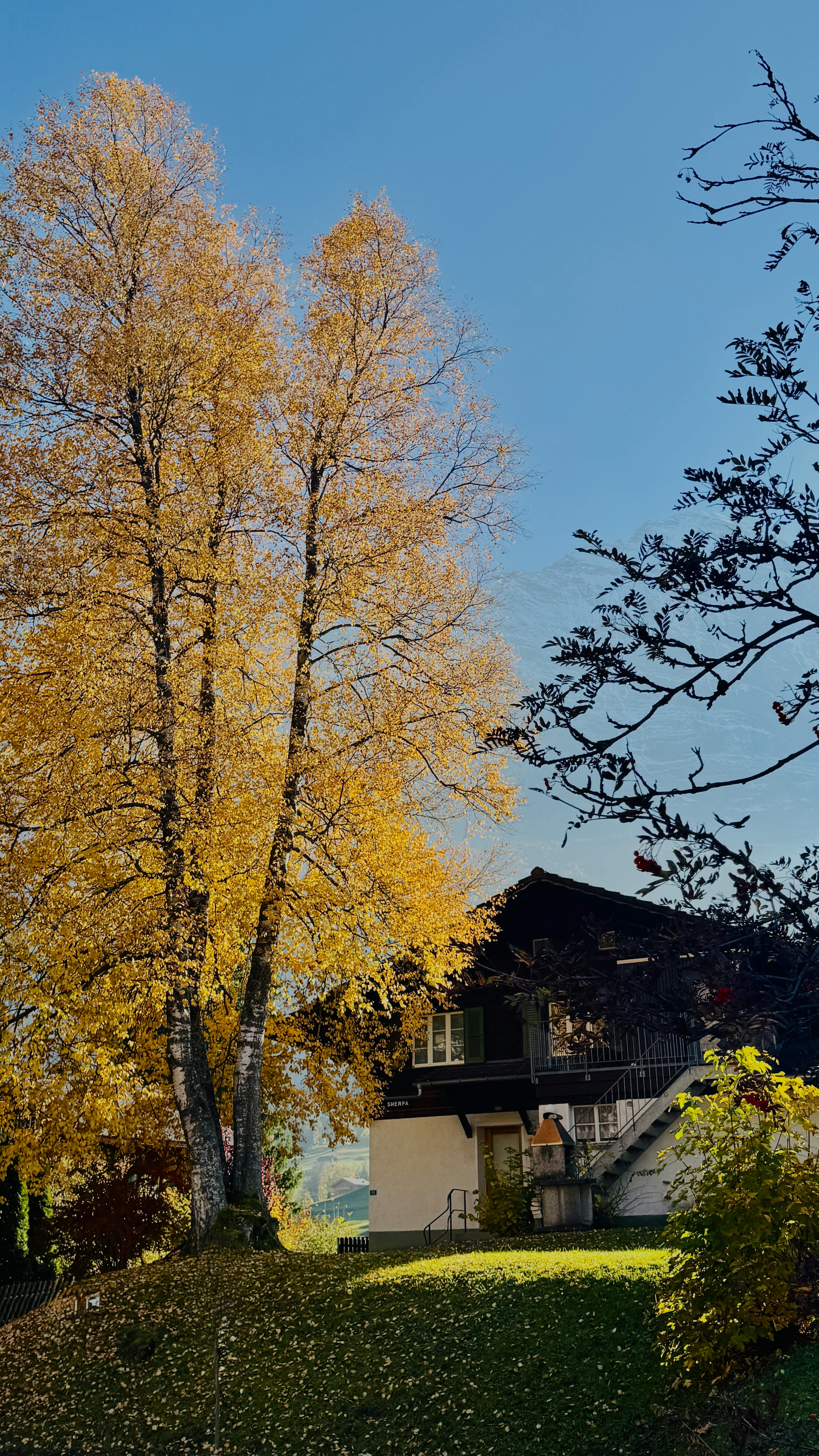 Notepad +Download Photos, Download The BEST Free Notepad +Download ...