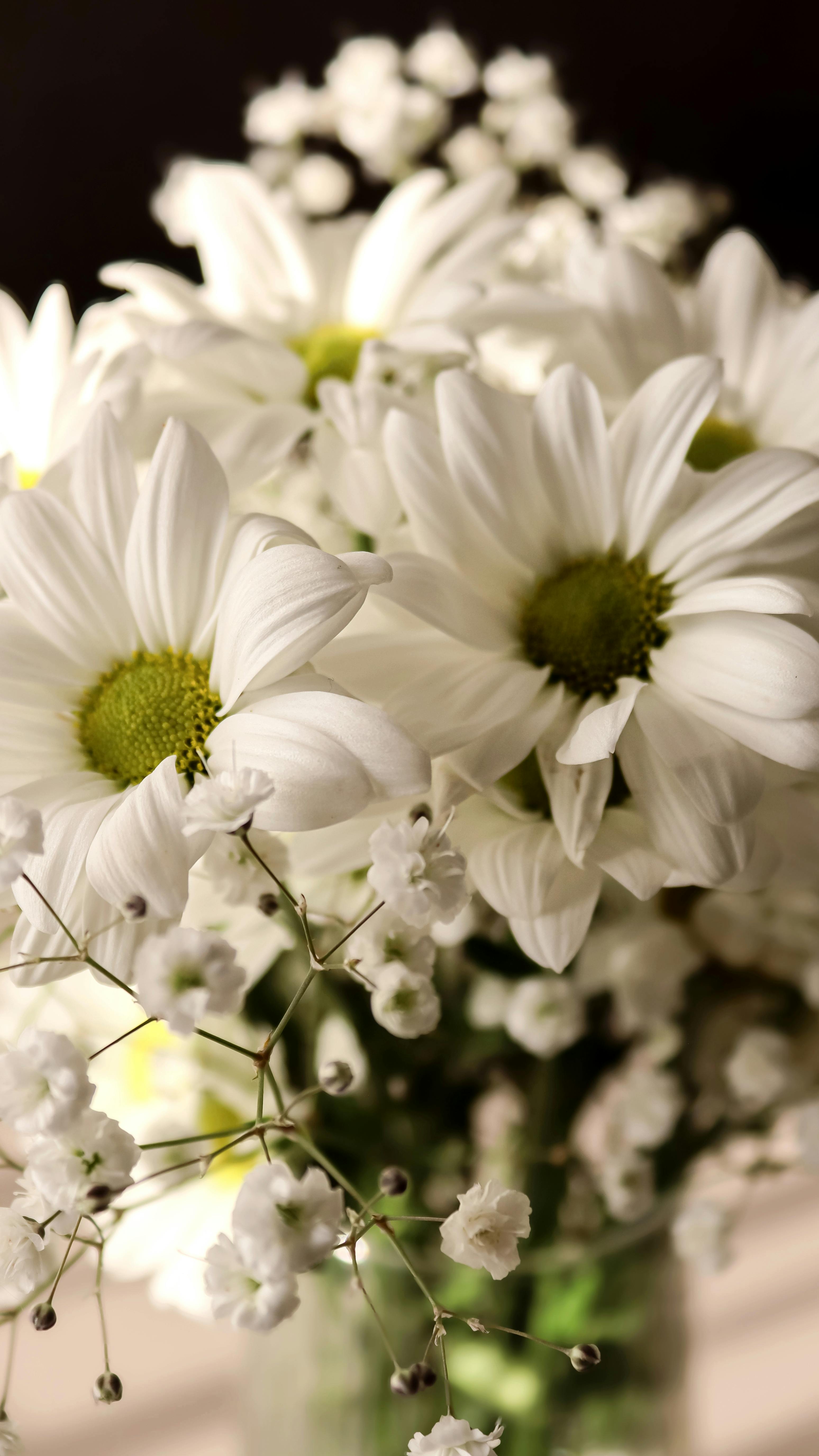 Bokep+Yoga+Art Photos, Download The BEST Free Bokep+Yoga+Art Stock Photos & HD Images