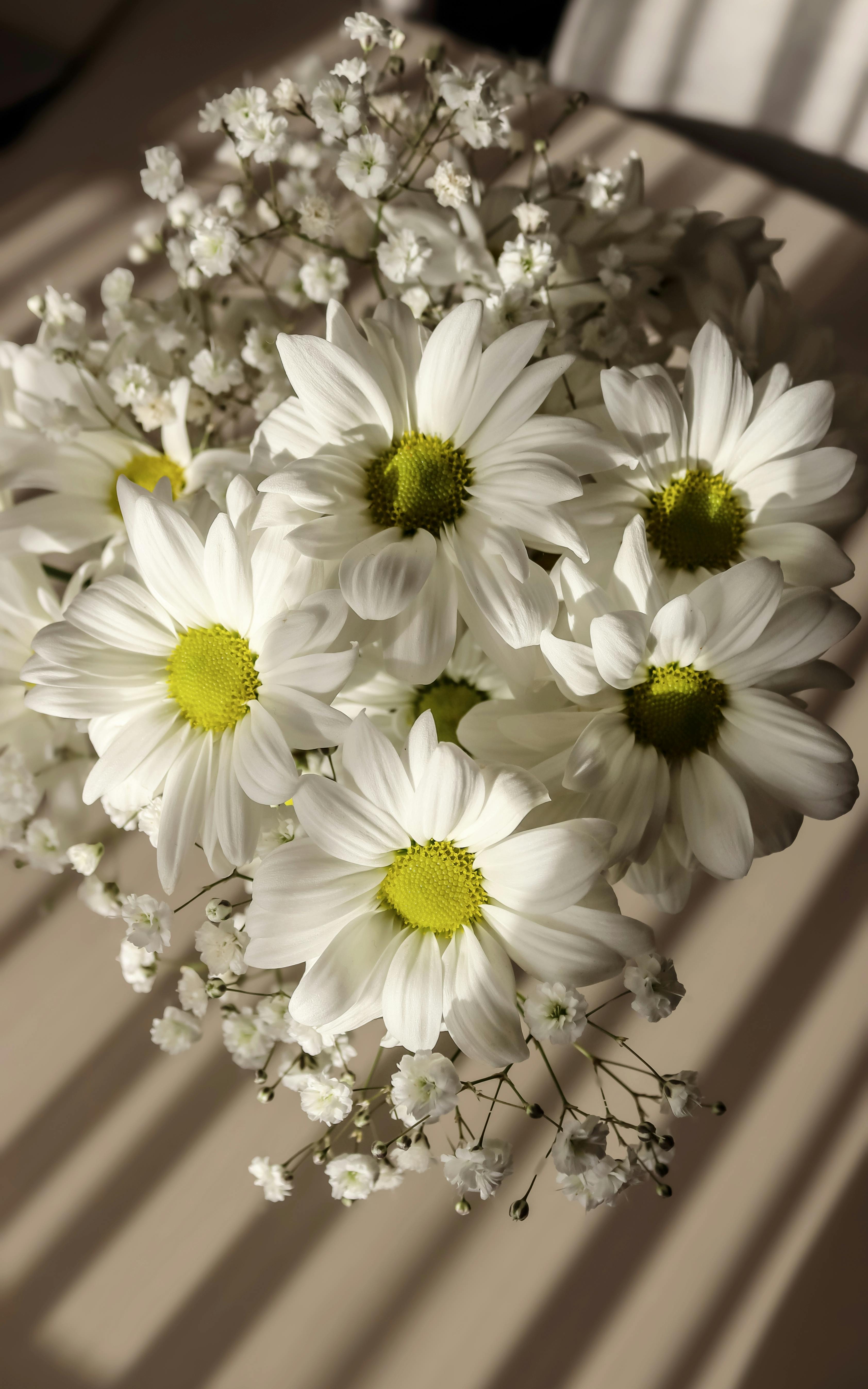 Simple+Color+Ypoutube Photos, Download The BEST Free Simple+Color ...