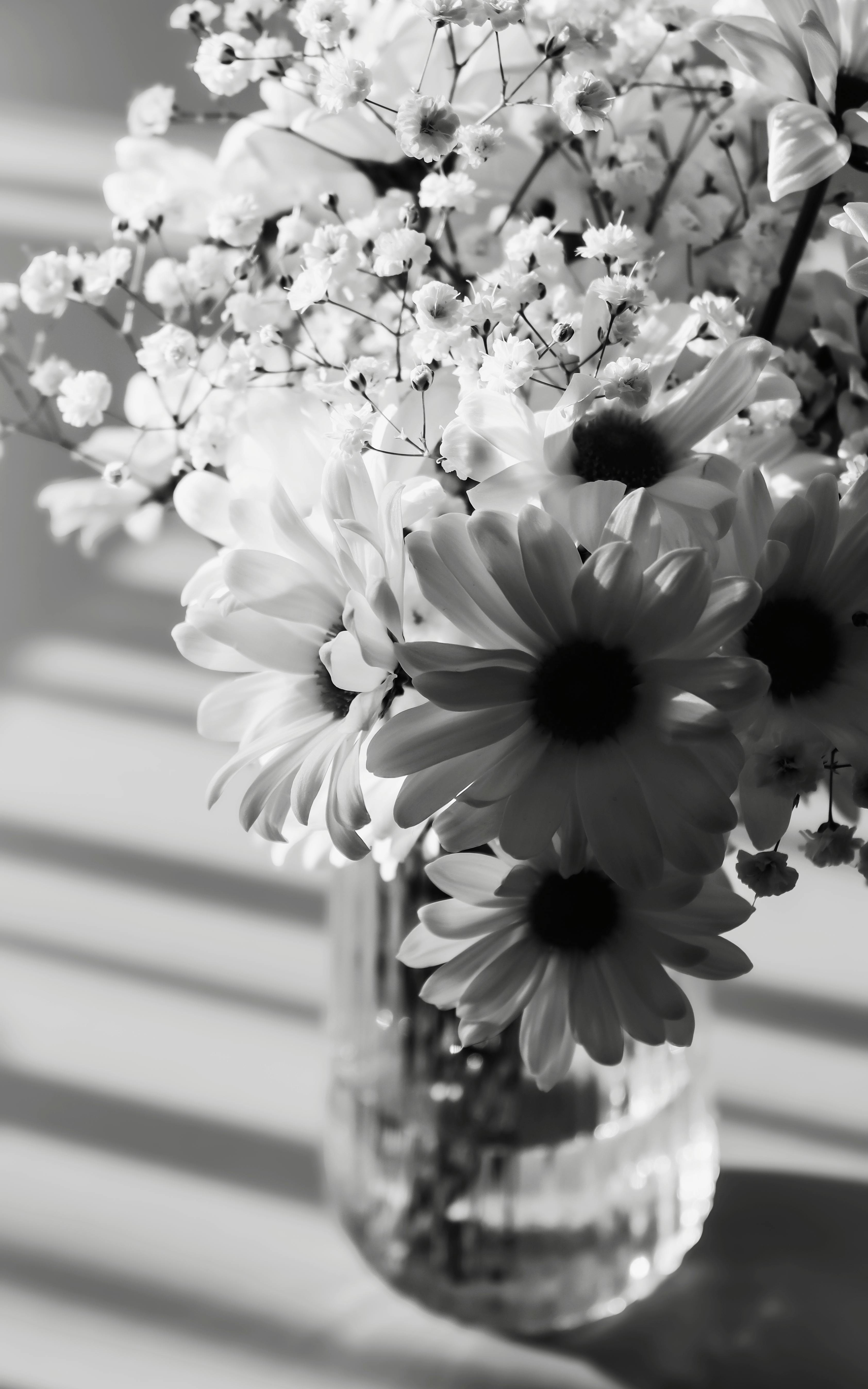 Bokep+Yoga+Art Photos, Download The BEST Free Bokep+Yoga+Art Stock Photos & HD Images