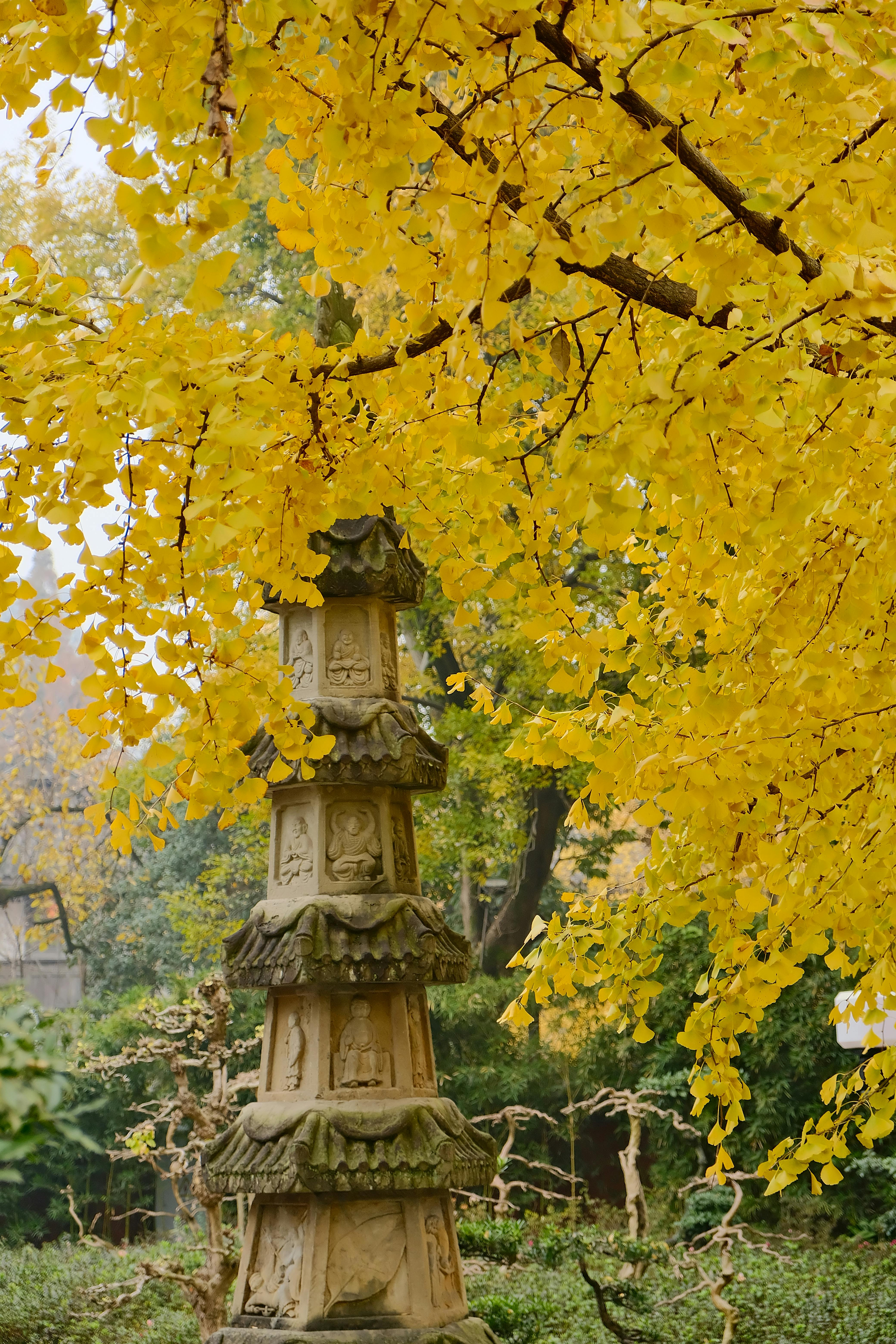 Bokep+Japanese+Sub+Indo+Terbaru Photos, Download The BEST Free Bokep+Japanese+Sub+Indo+Terbaru ...