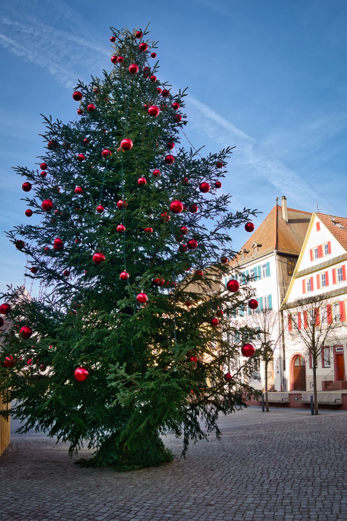 Christmas Tree Scenes Photos, Download The BEST Free Christmas Tree ...