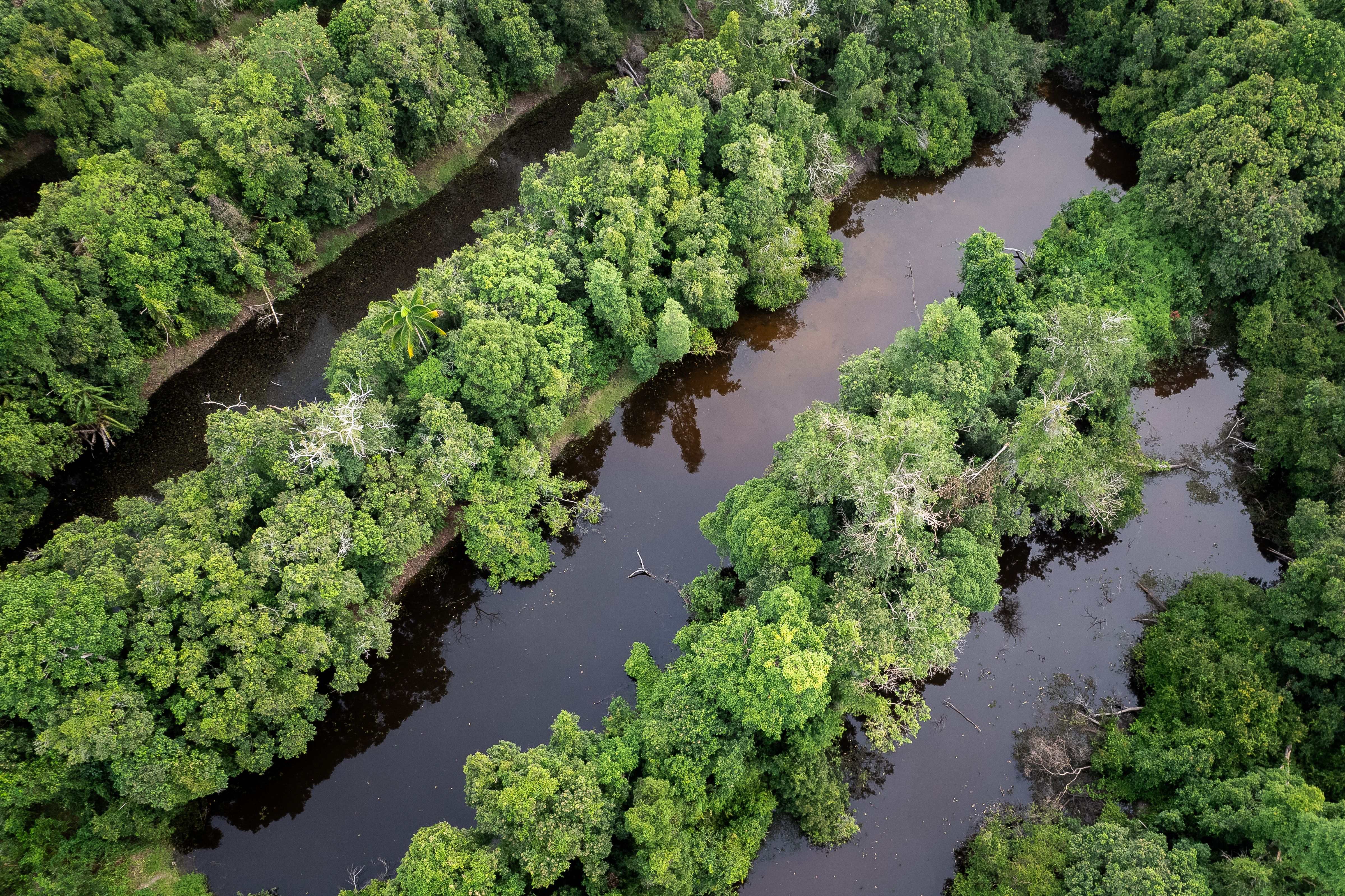 Meandering River Photos, Download The BEST Free Meandering River Stock ...