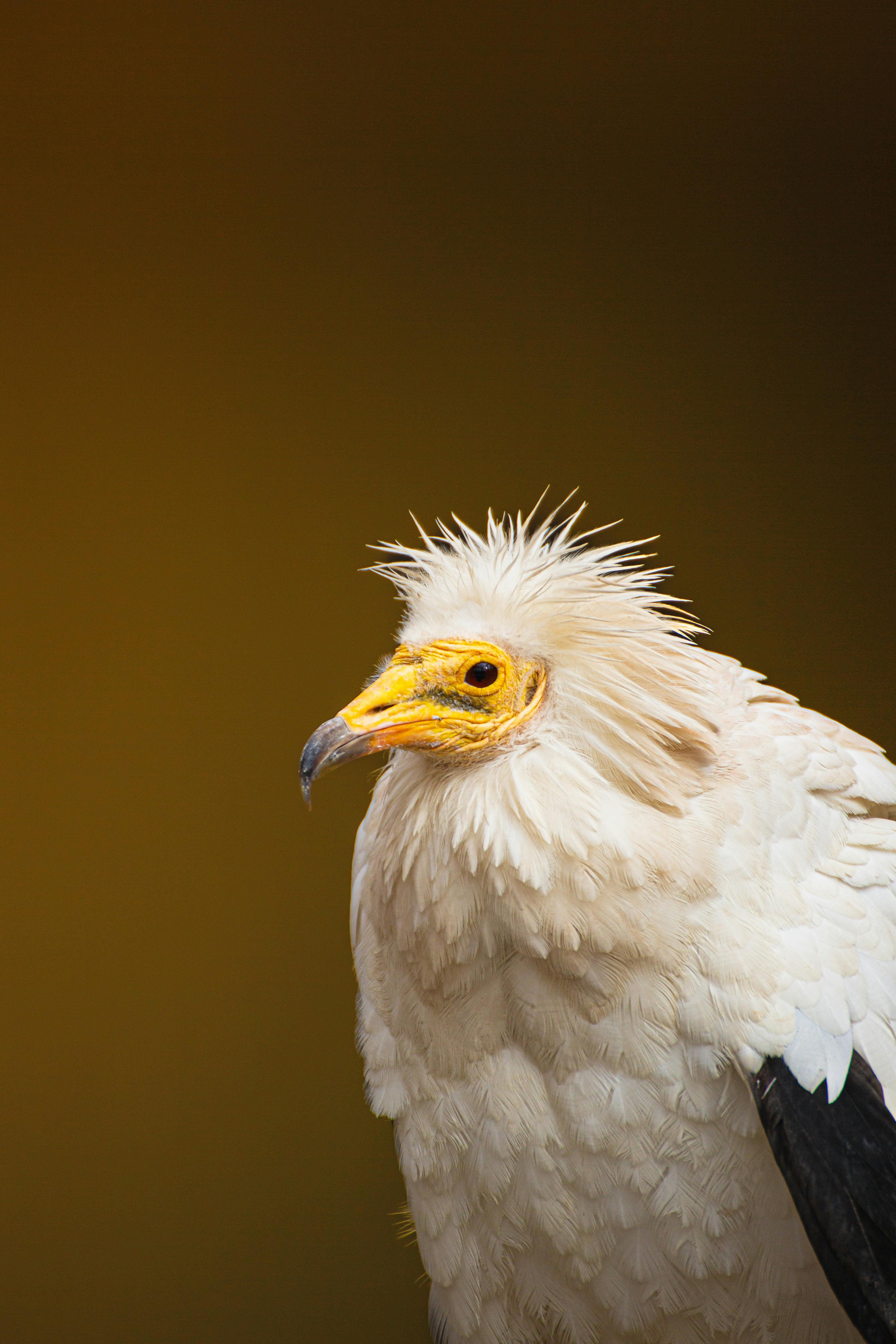 Photos+143+305*70 Photos, Download The BEST Free Photos+143+305*70 ...