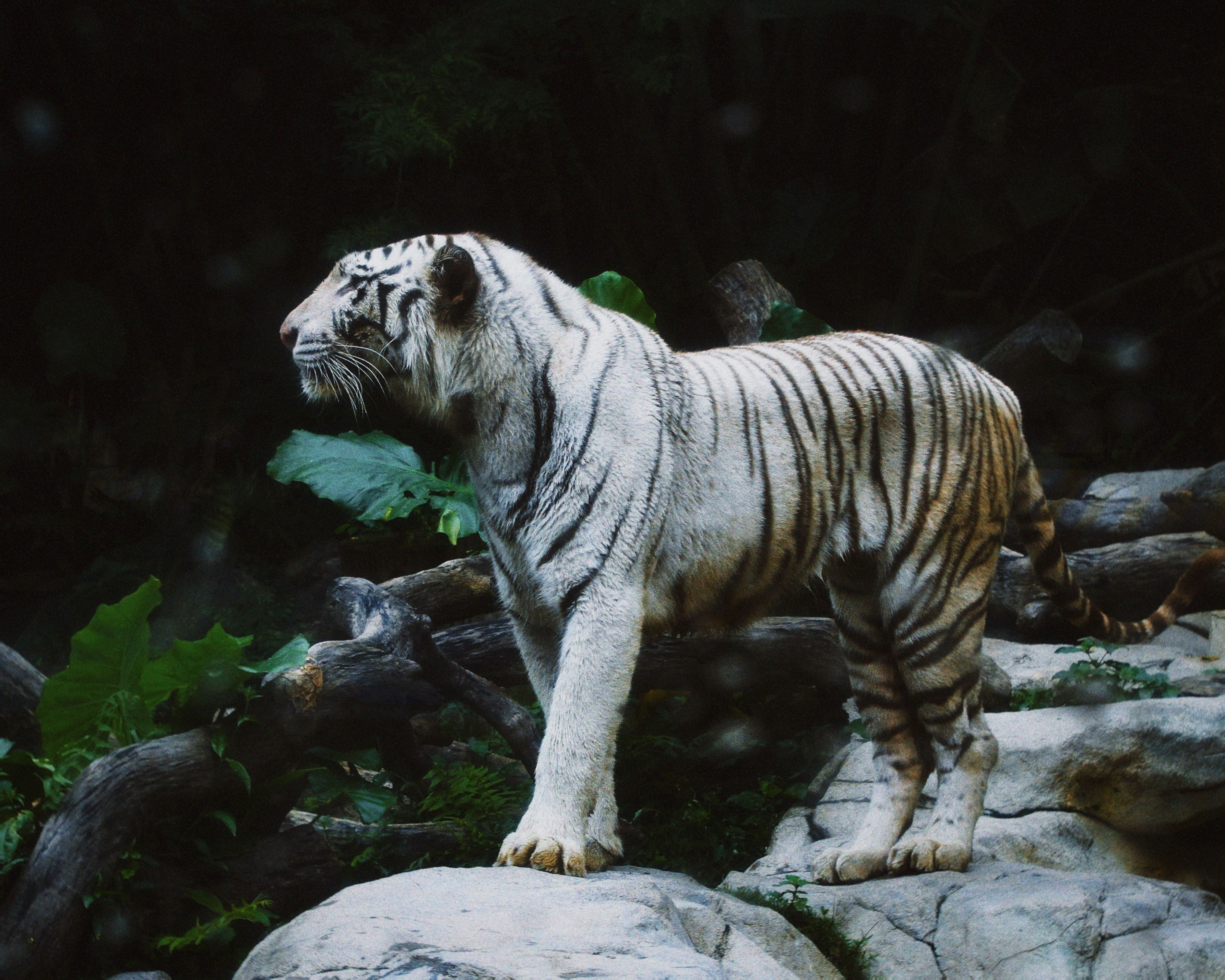 Powerful Photos, Download The BEST Free Powerful Stock Photos & HD Images