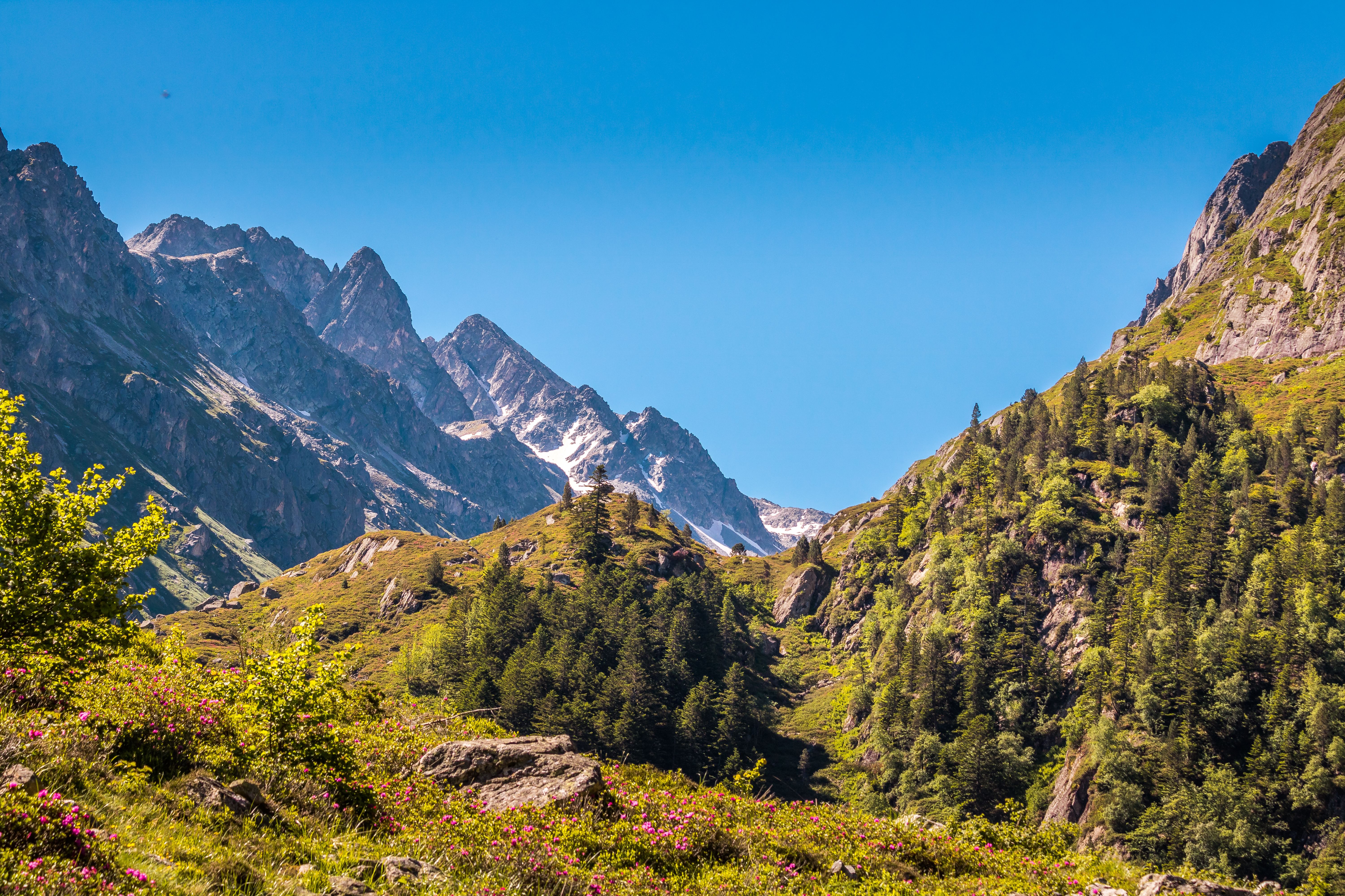 Stunning Pyrenees Mountain Landscape in Summer · Free Stock Photo