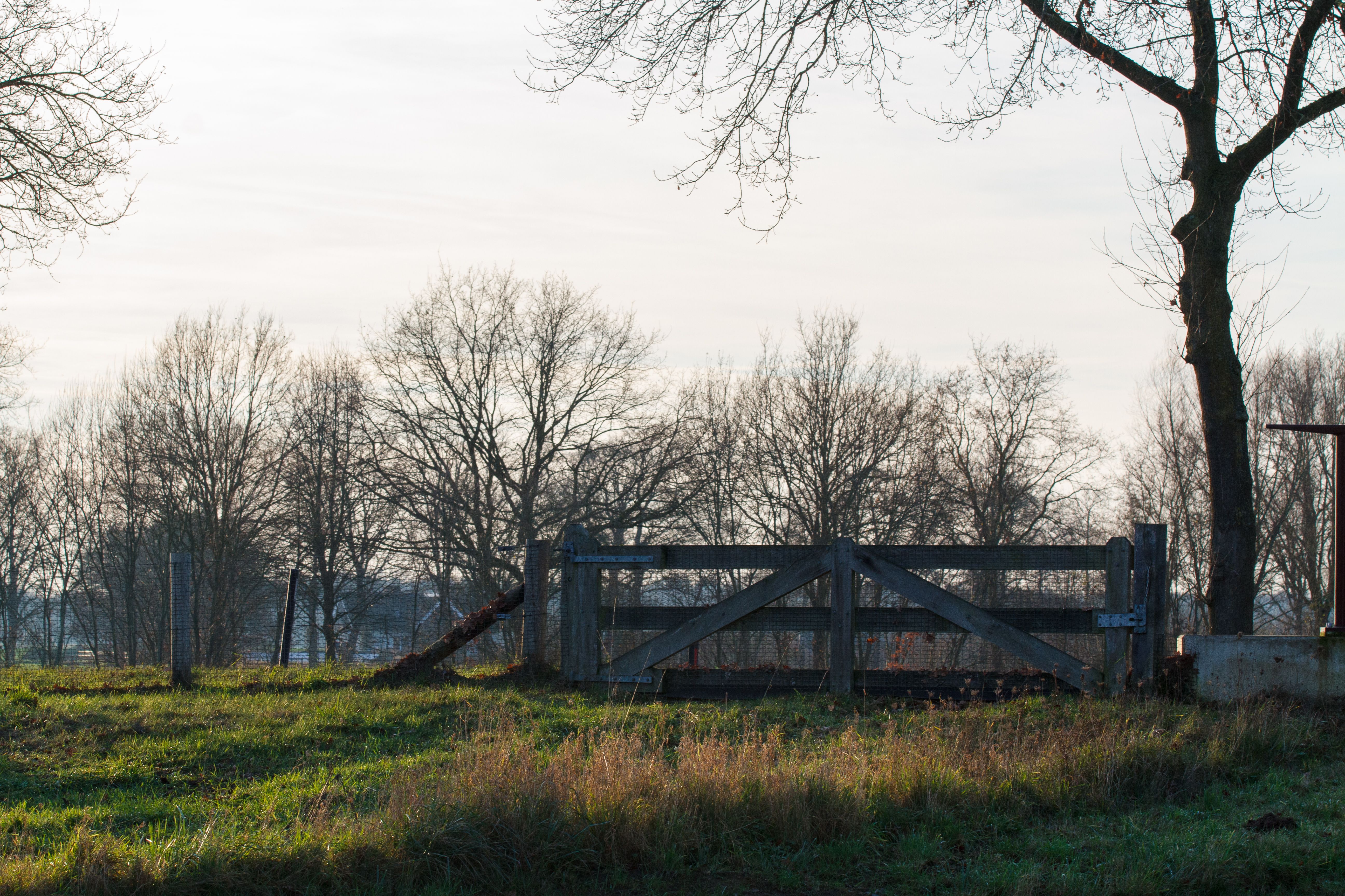 Rustic Wooden Gate in a Winter Landscape · Free Stock Photo