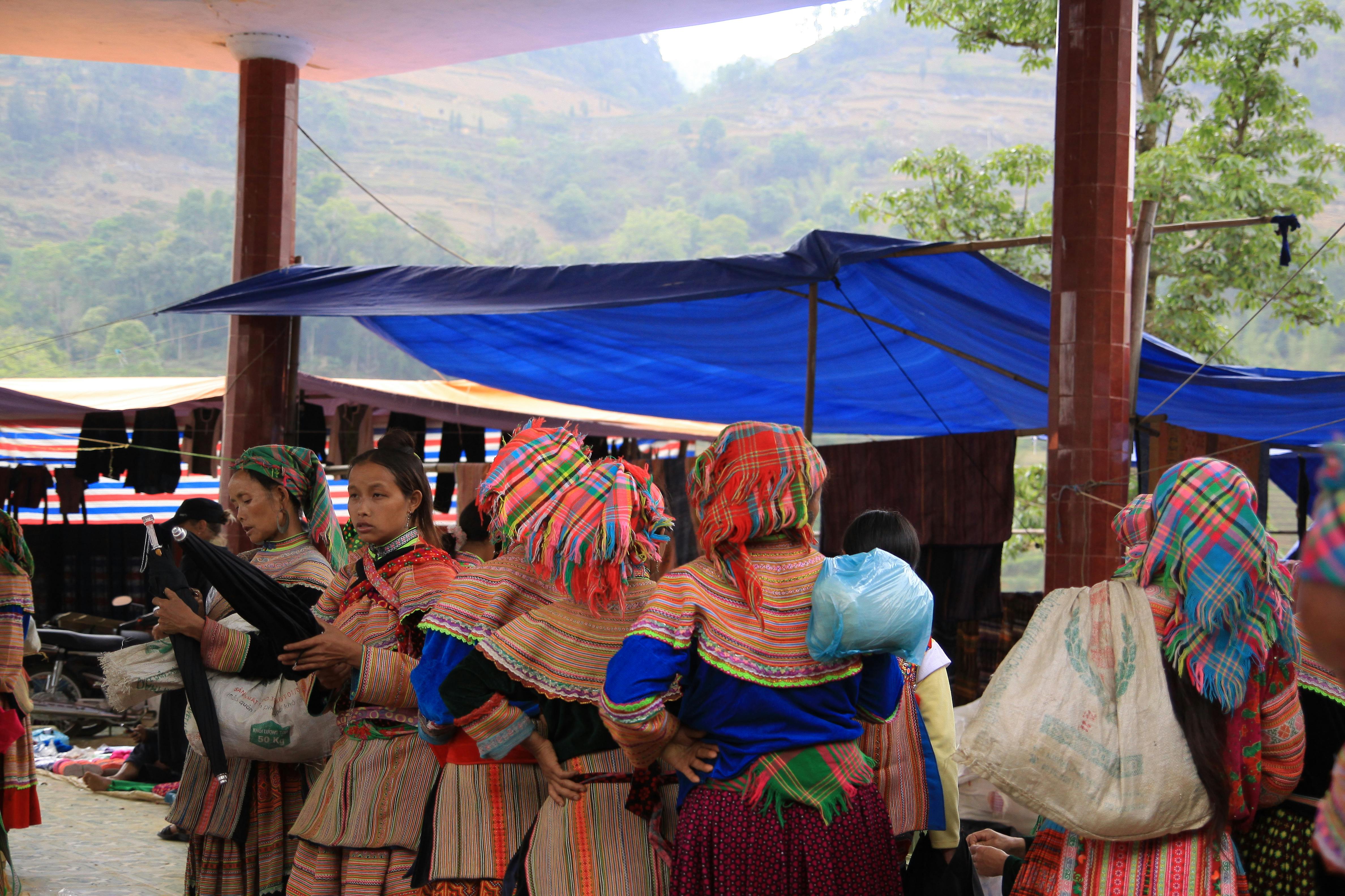 Group+Pfps Photos, Download The BEST Free Group+Pfps Stock Photos & HD ...