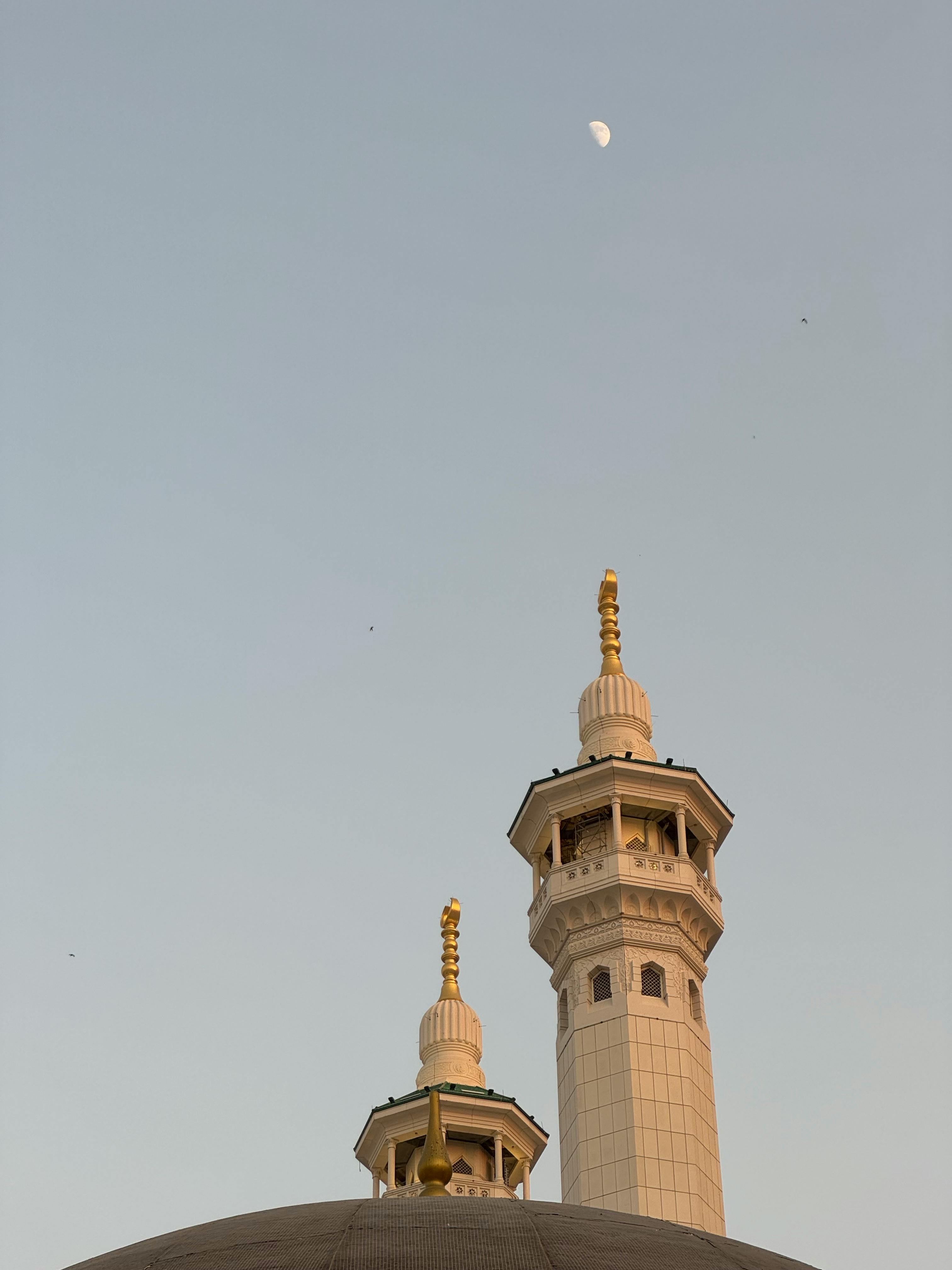 Southern Saudi Arabia Landscape Photos, Download The BEST Free Southern ...