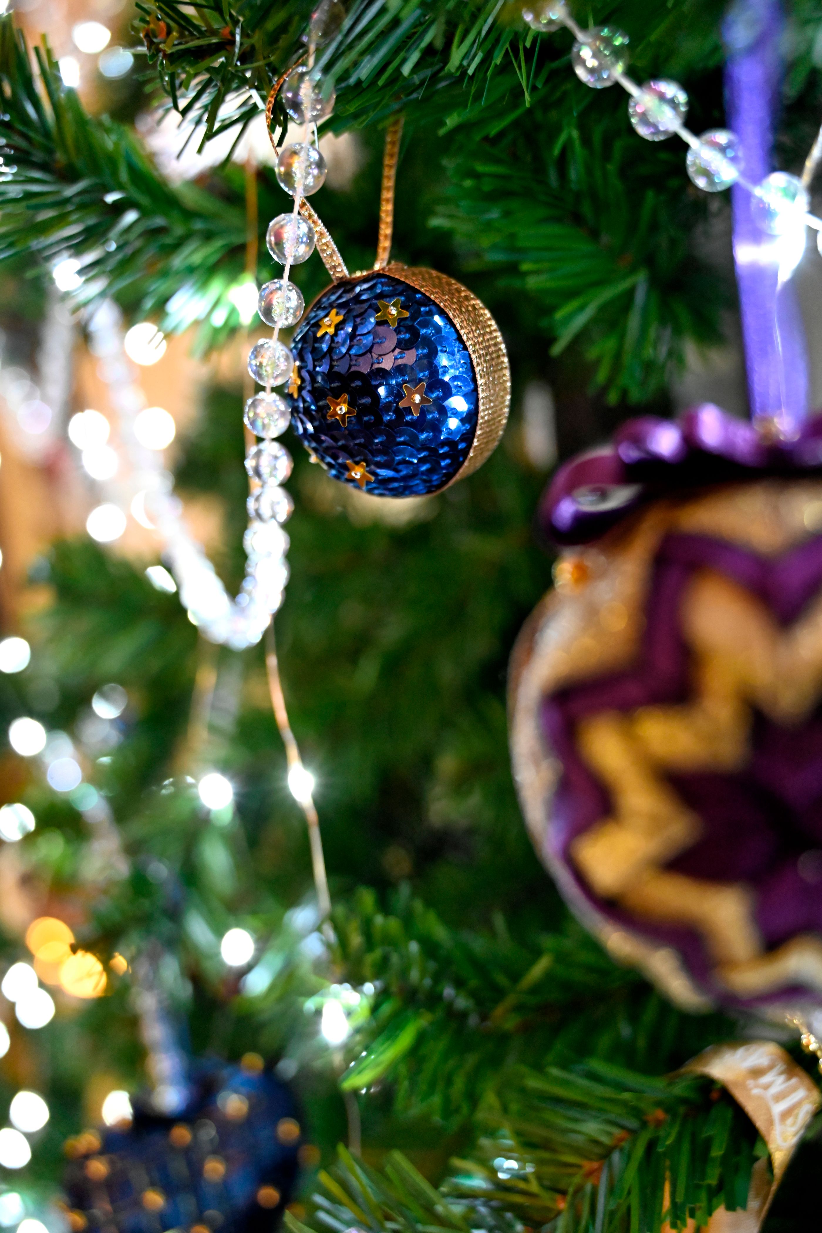 Shiny Tree Photos, Download The BEST Free Shiny Tree Stock Photos & HD ...