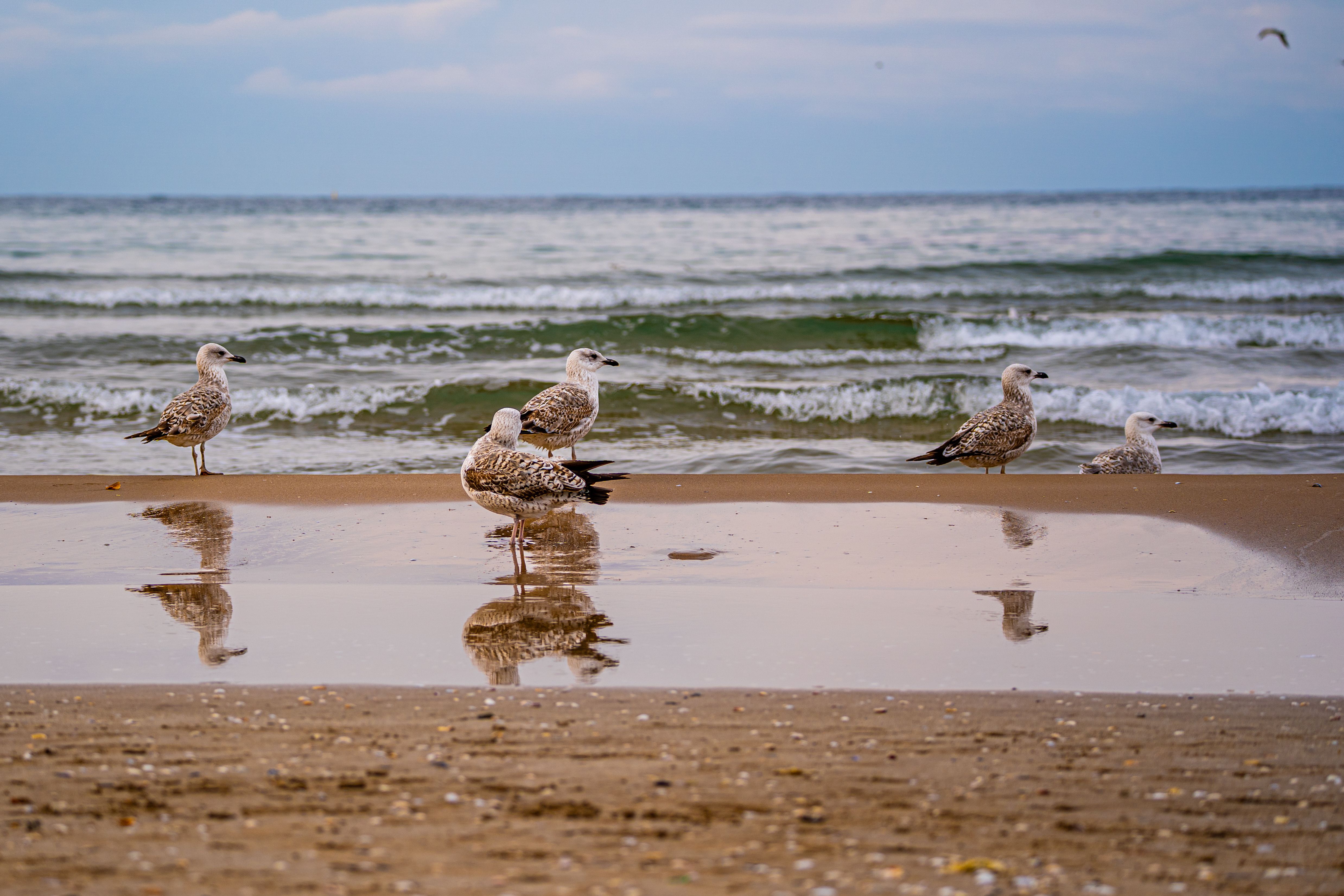 Sea Scenes Photos, Download The BEST Free Sea Scenes Stock Photos & HD ...