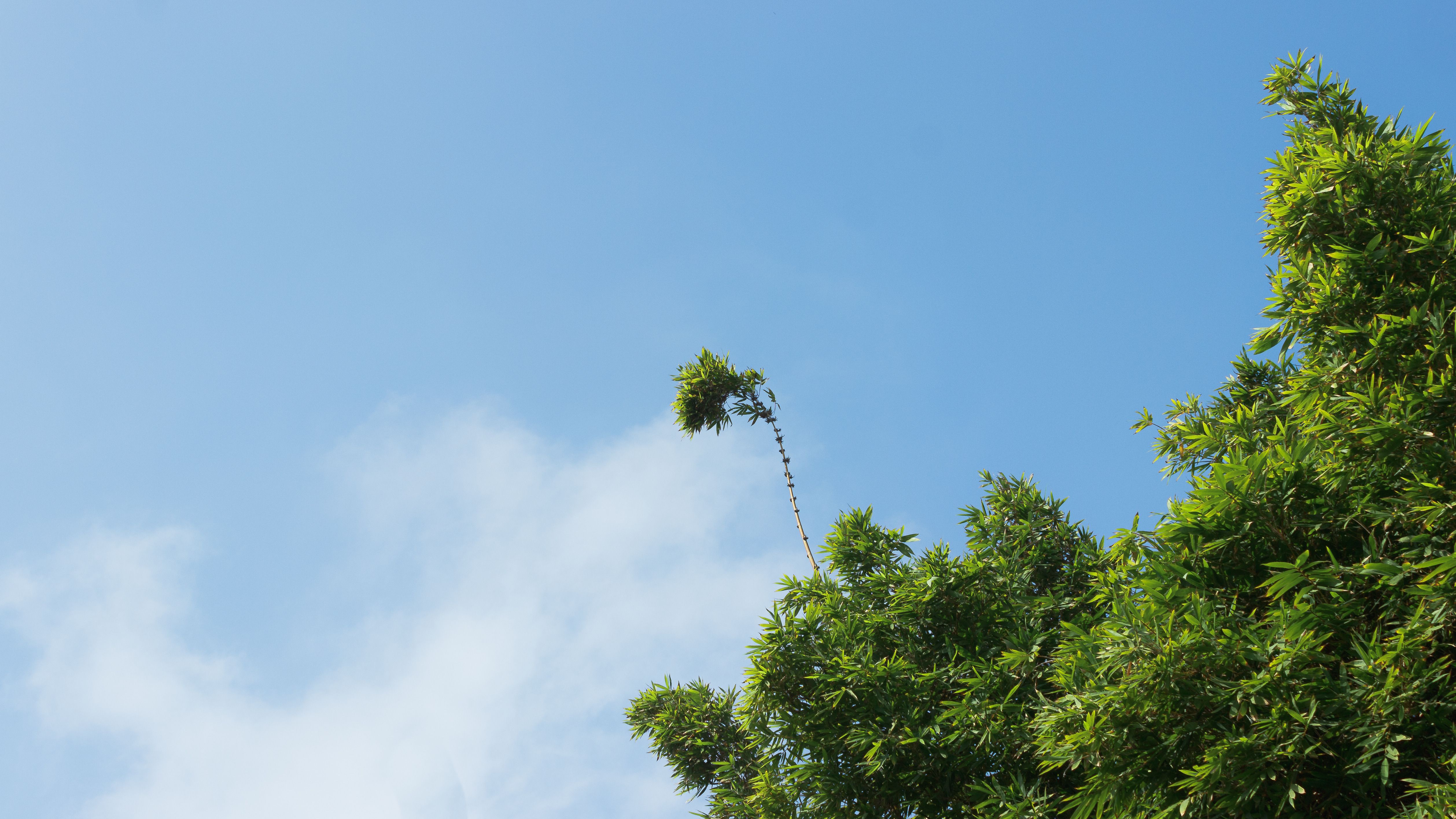 Daytime Photos, Download The BEST Free Daytime Stock Photos & HD Images