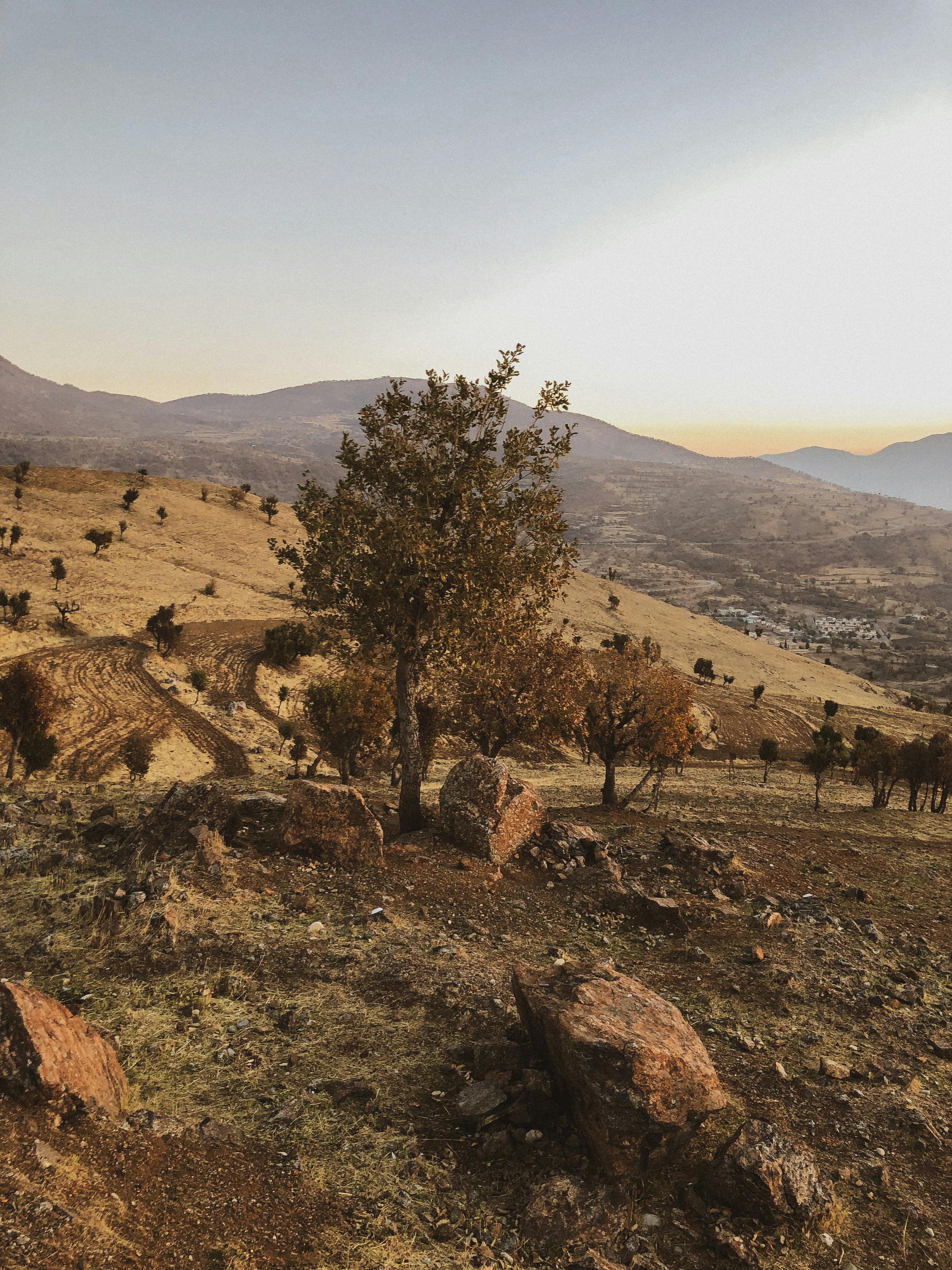 Plain Photos, Download The BEST Free Plain Stock Photos & HD Images