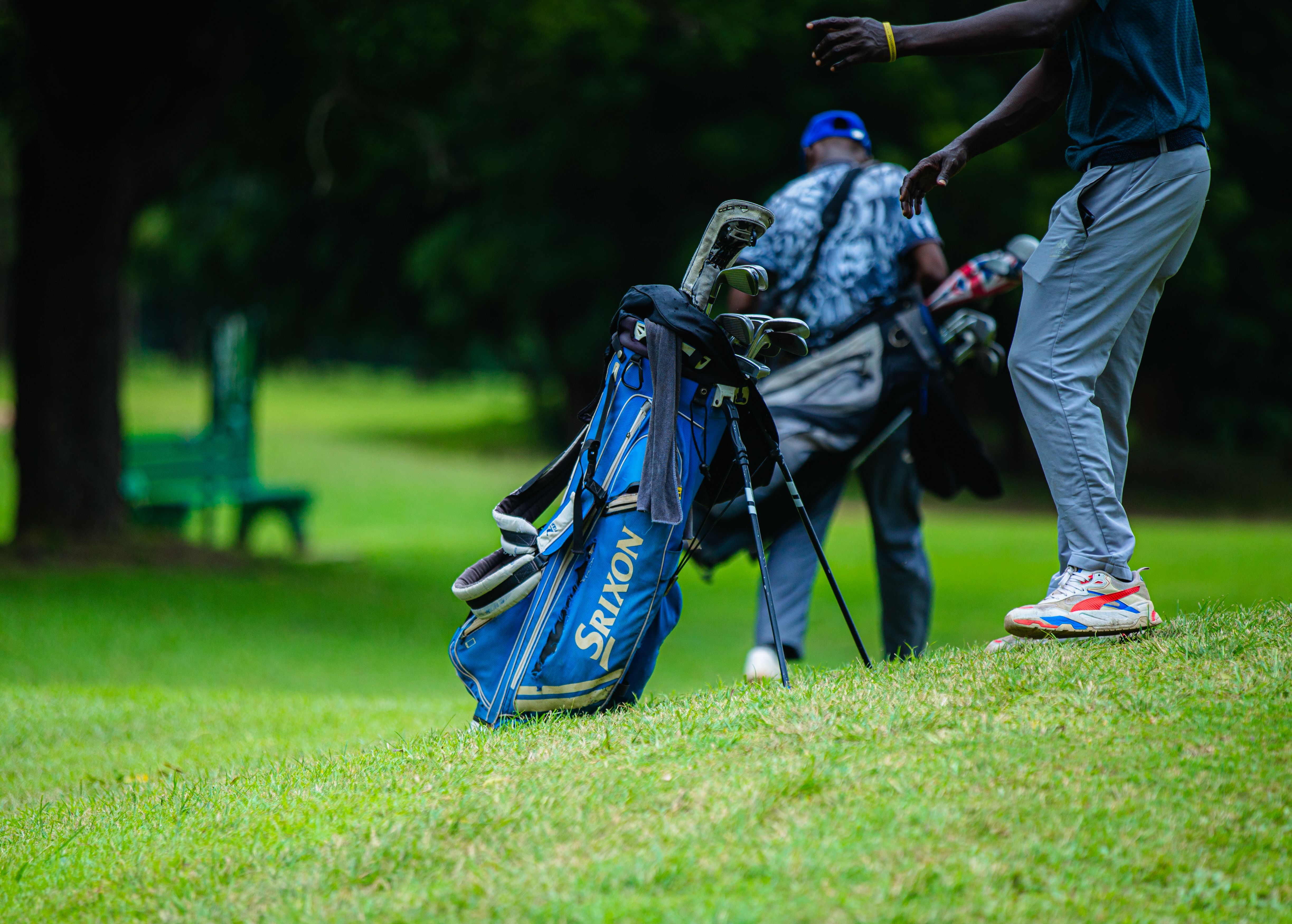 Golf Course Background Photos, Download The BEST Free Golf Course ...