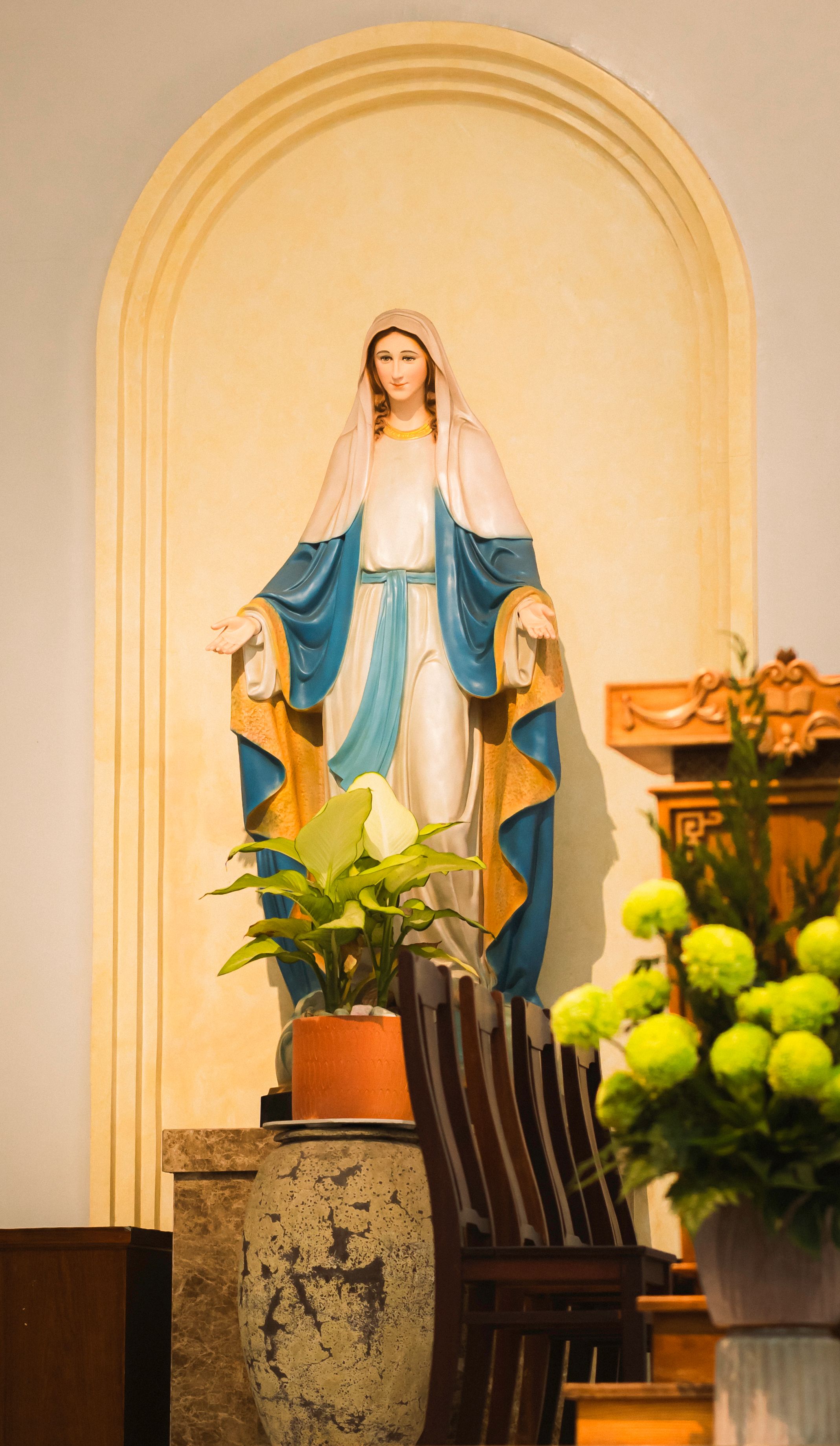 Statue of Virgin Mary in Church Setting · Free Stock Photo
