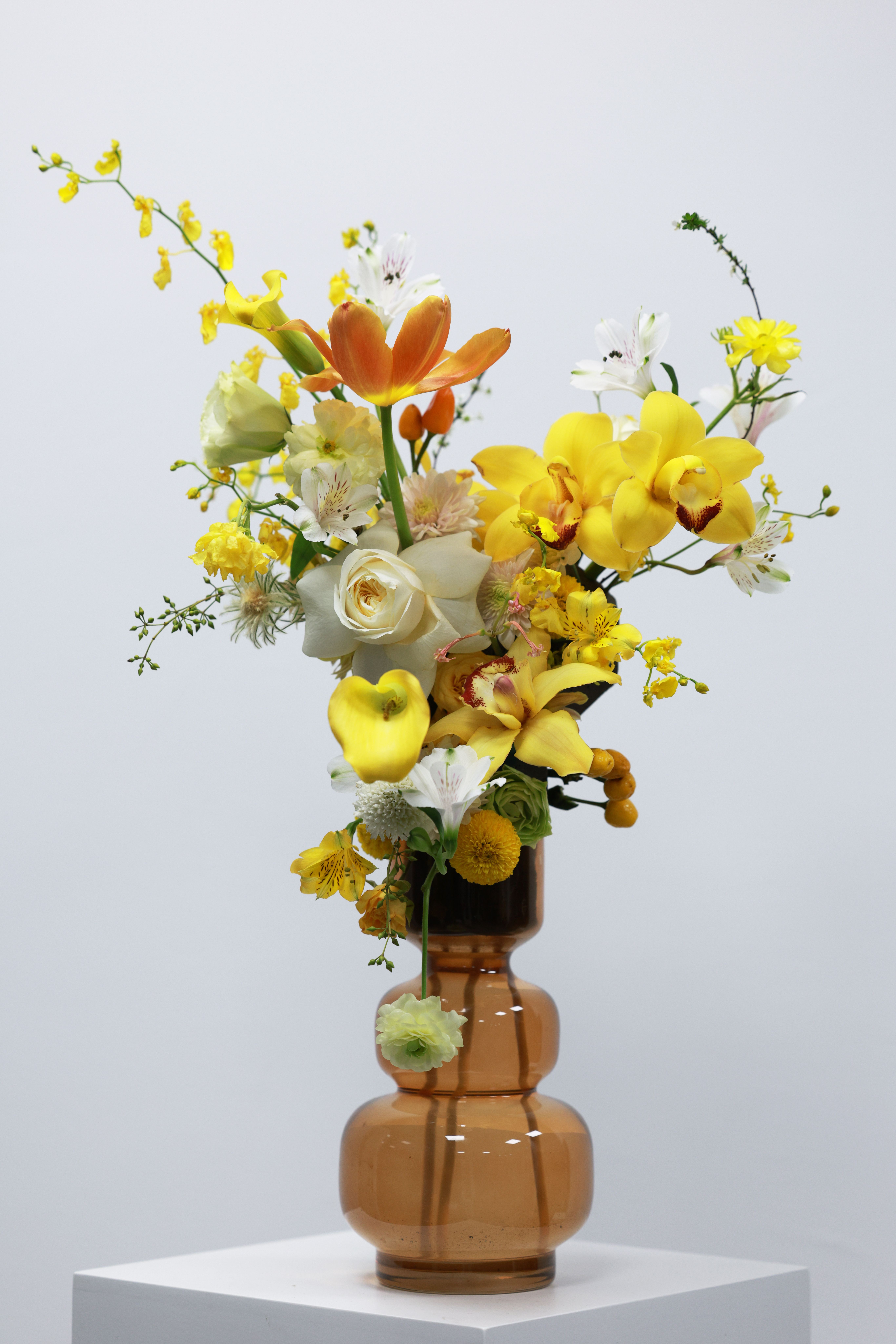 Blooming Flowers Photos, Download The BEST Free Blooming Flowers Stock ...