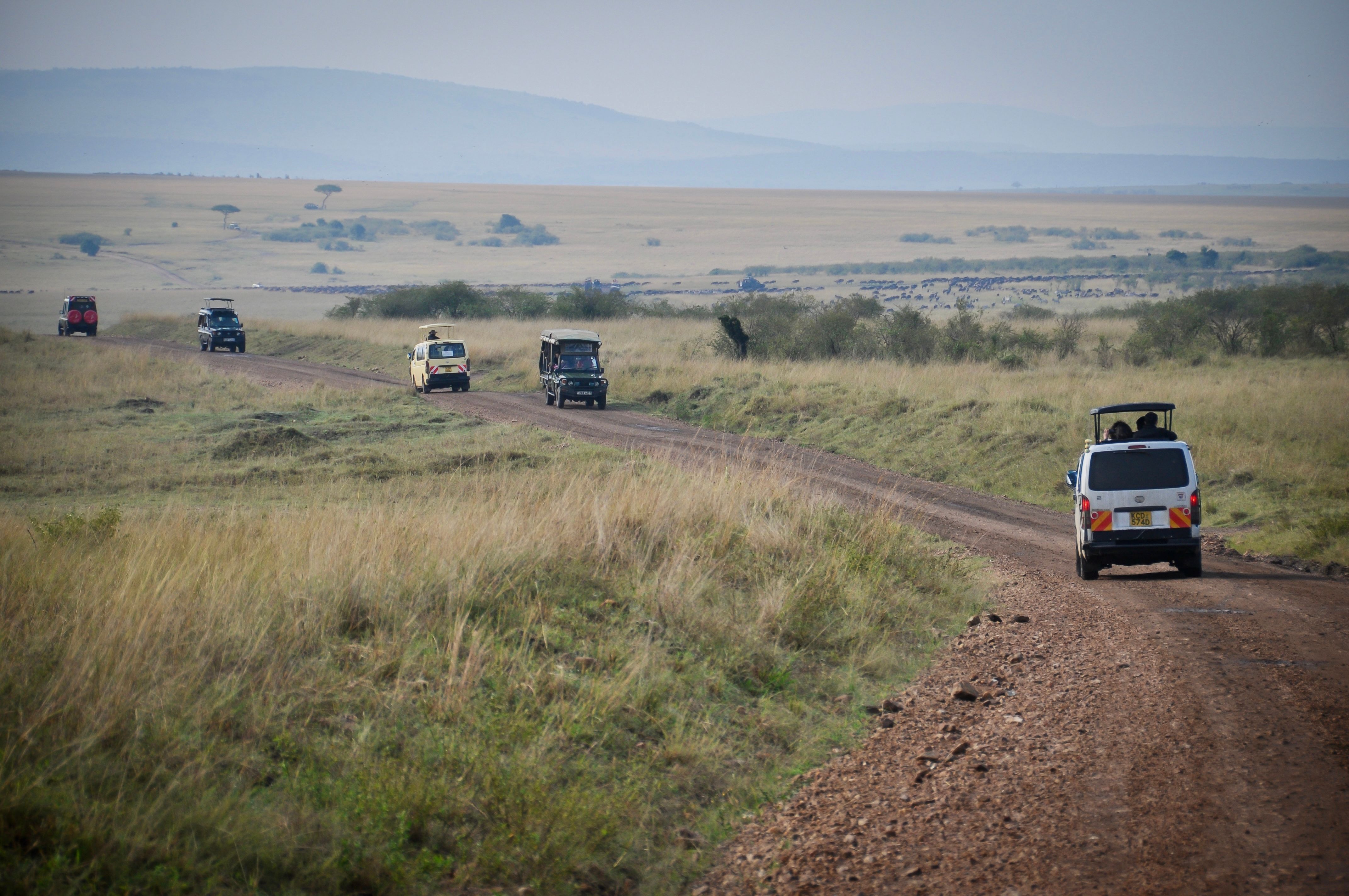 African Safari Vehicle Photos, Download The BEST Free African Safari ...