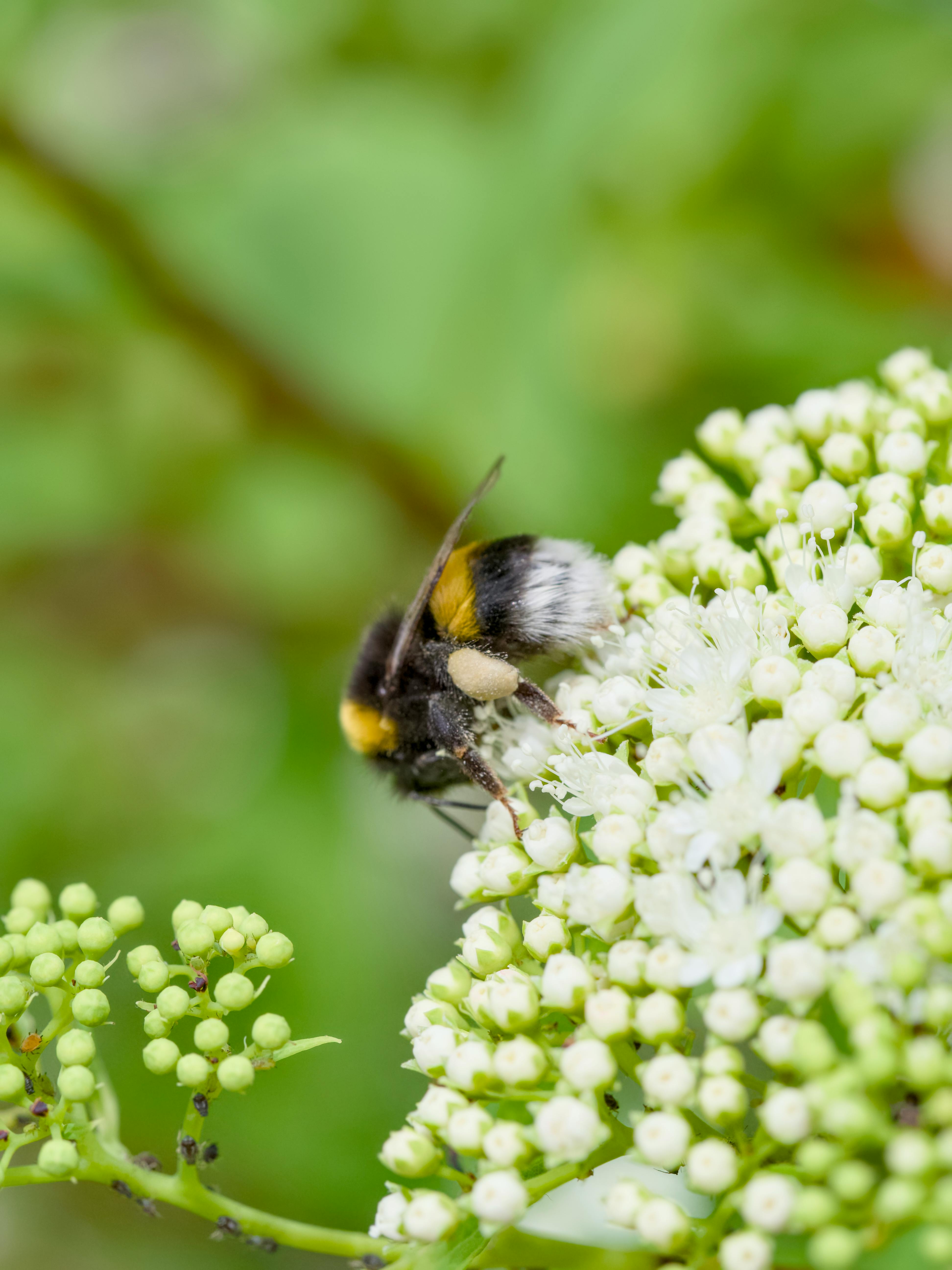 Dowlode+E Photos, Download The BEST Free Dowlode+E Stock Photos & HD Images