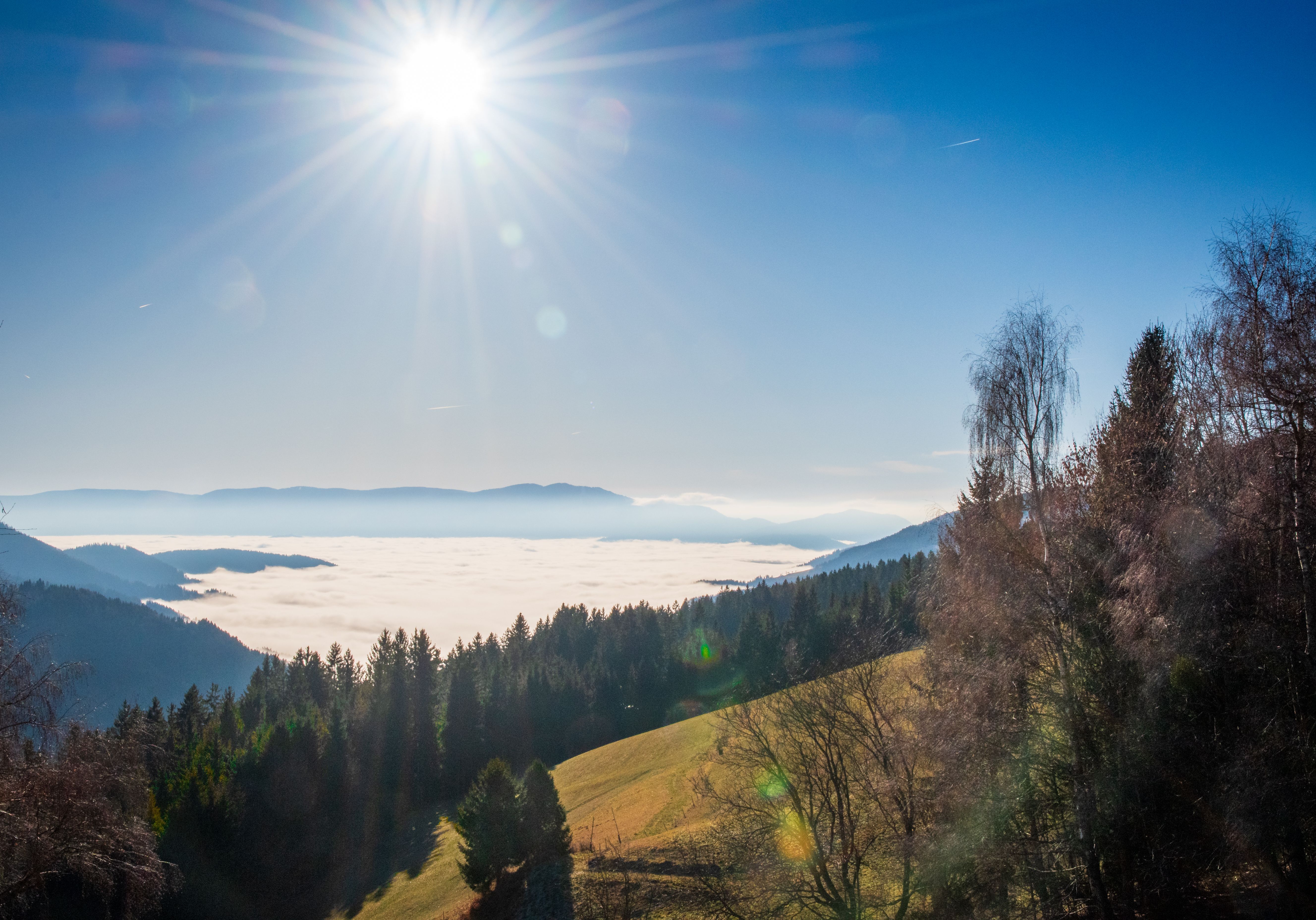 Sunny Weather Images Photos, Download The BEST Free Sunny Weather ...