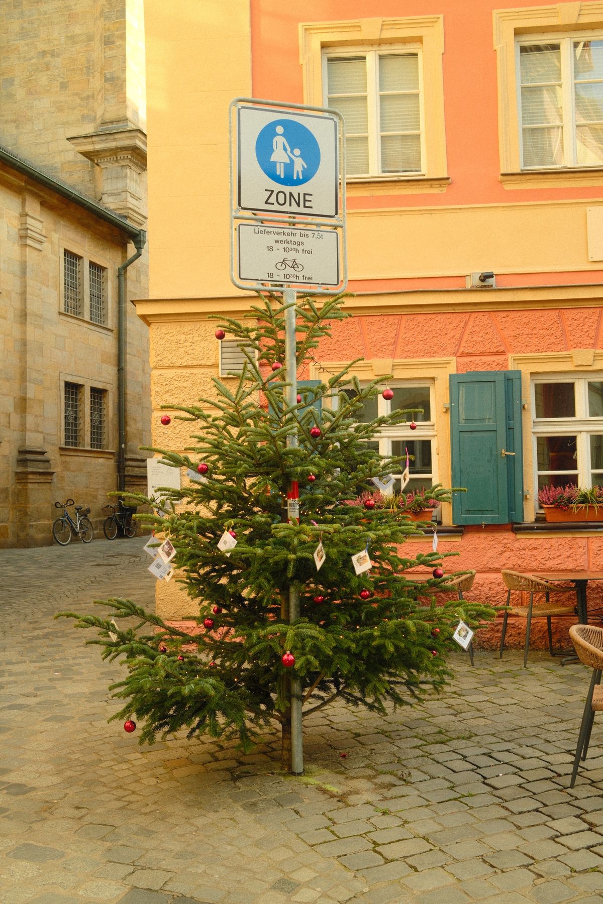 Christmas Tree Scenes Photos, Download The BEST Free Christmas Tree ...