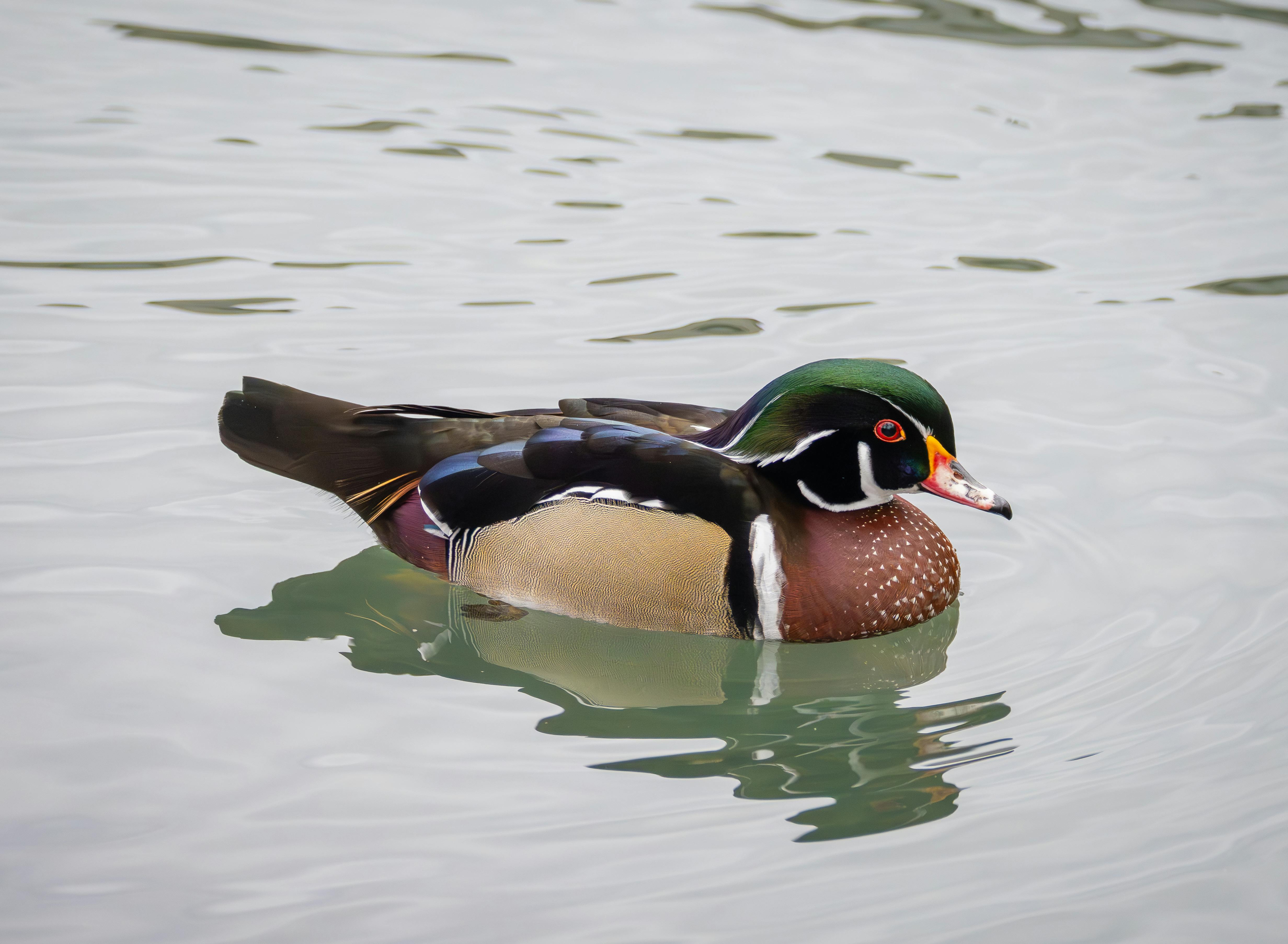 Dowlode+E Photos, Download The BEST Free Dowlode+E Stock Photos & HD Images