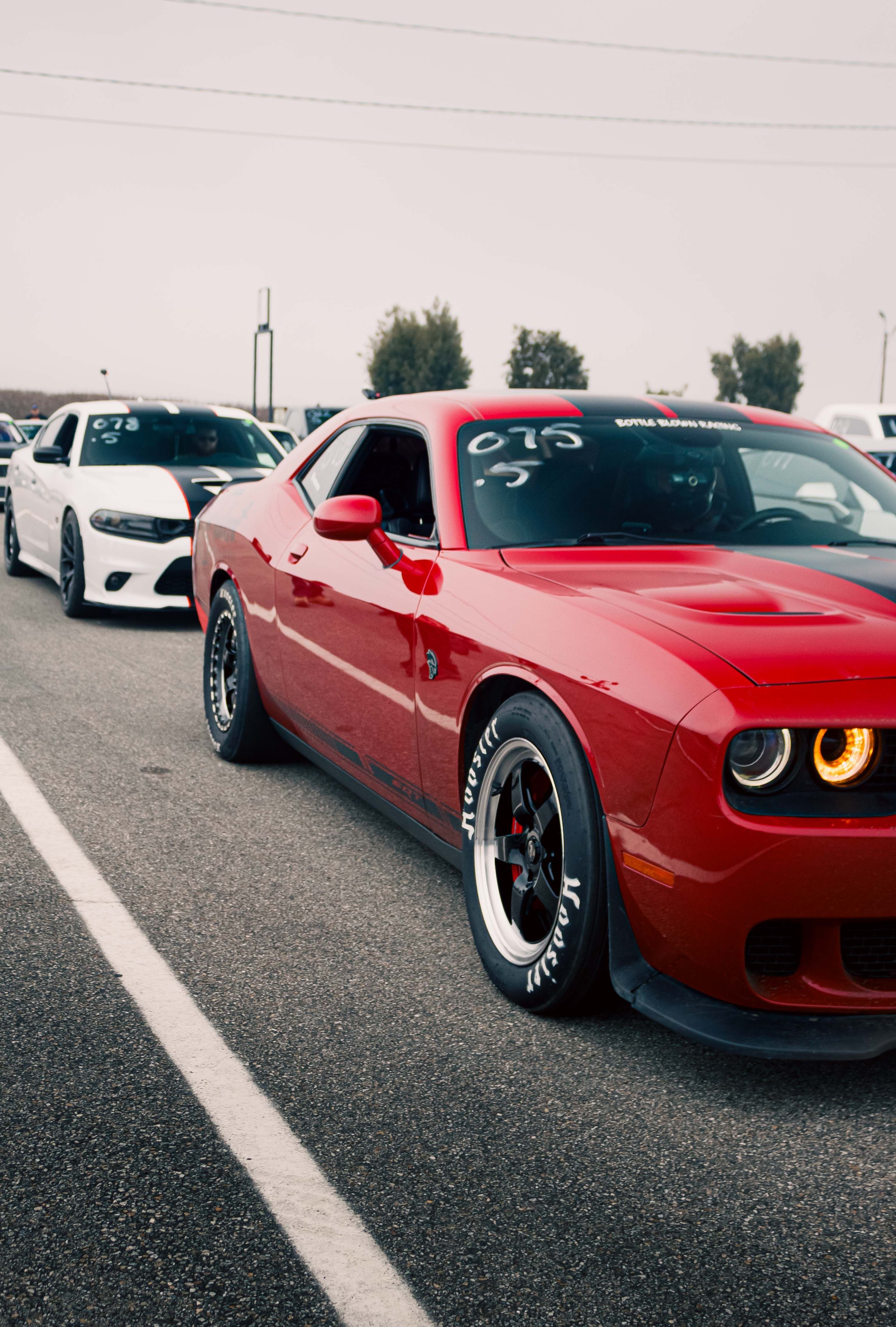 High Performance Cars Lined Up for Drag Racing · Free Stock Photo