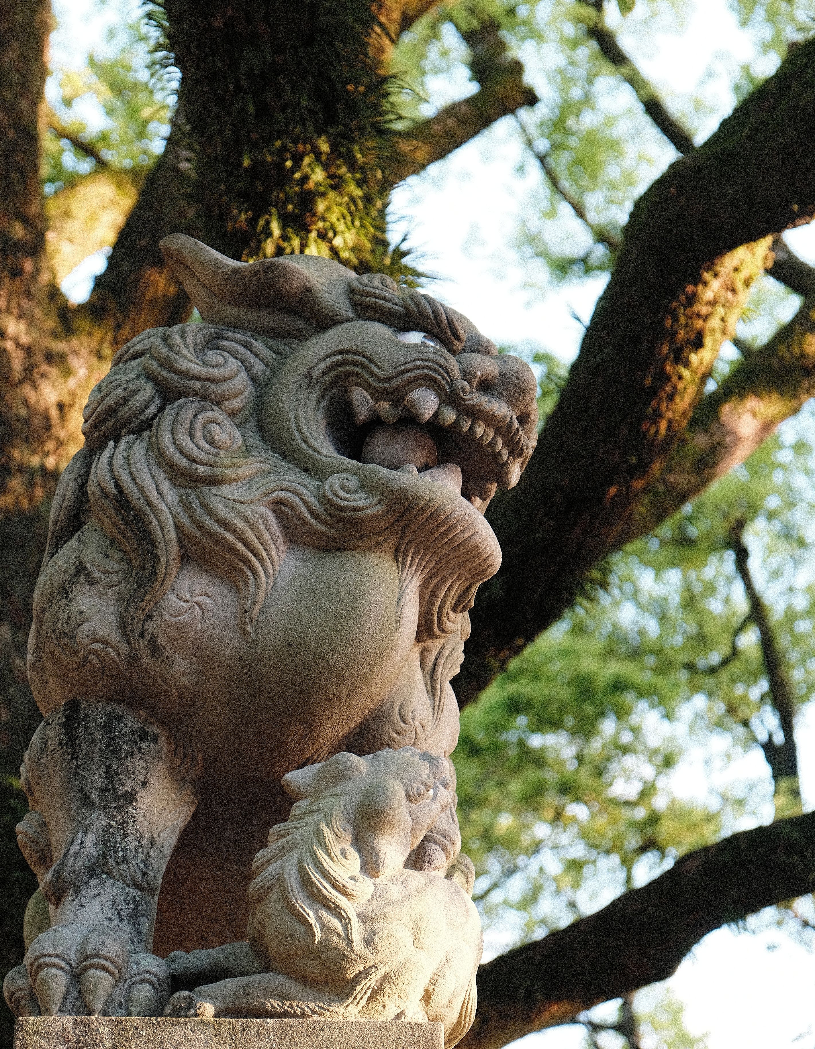 Majestic Stone Guardian in Sunlit Forest · Free Stock Photo