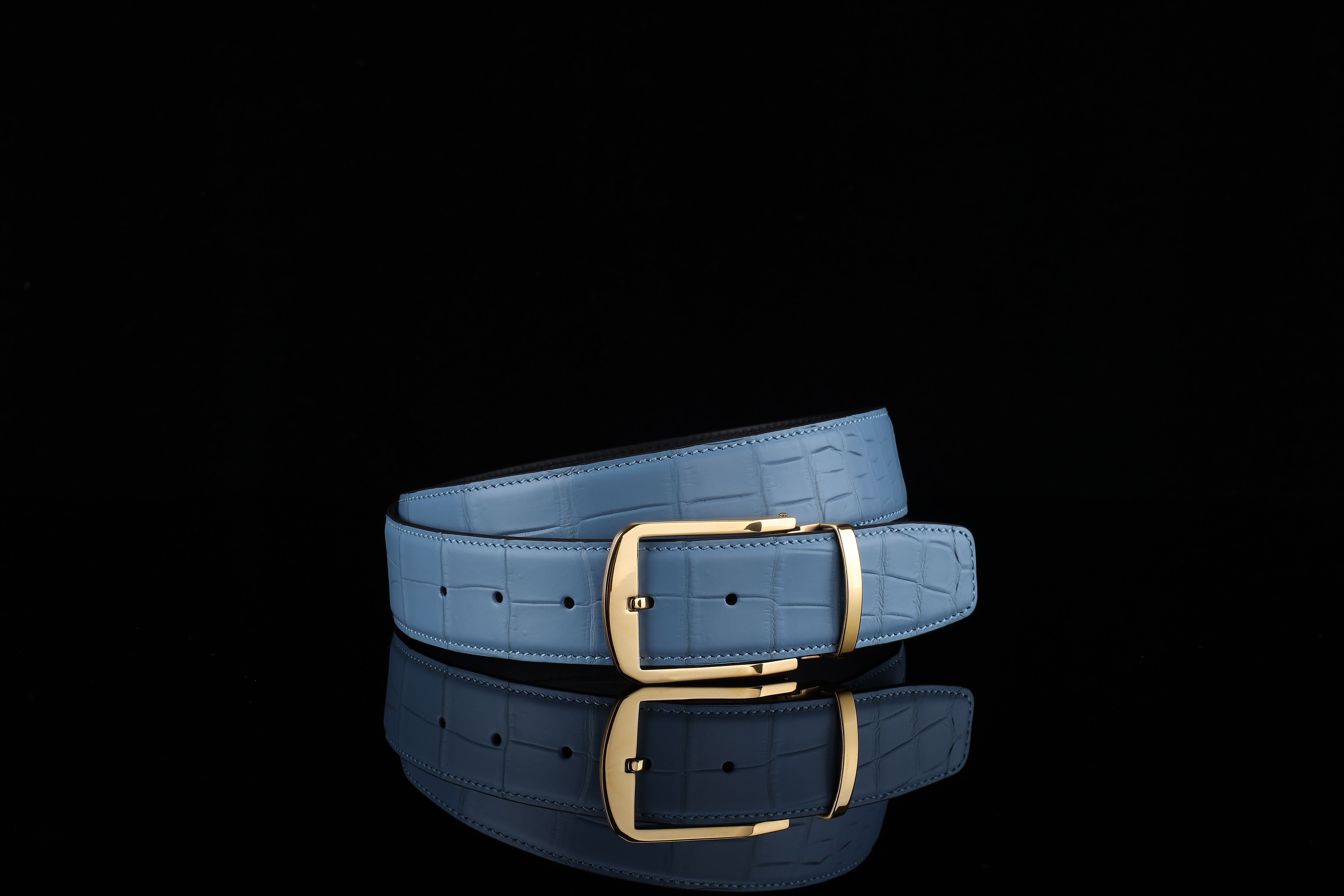 Stylish Blue Crocodile Pattern Leather Belt · Free Stock Photo