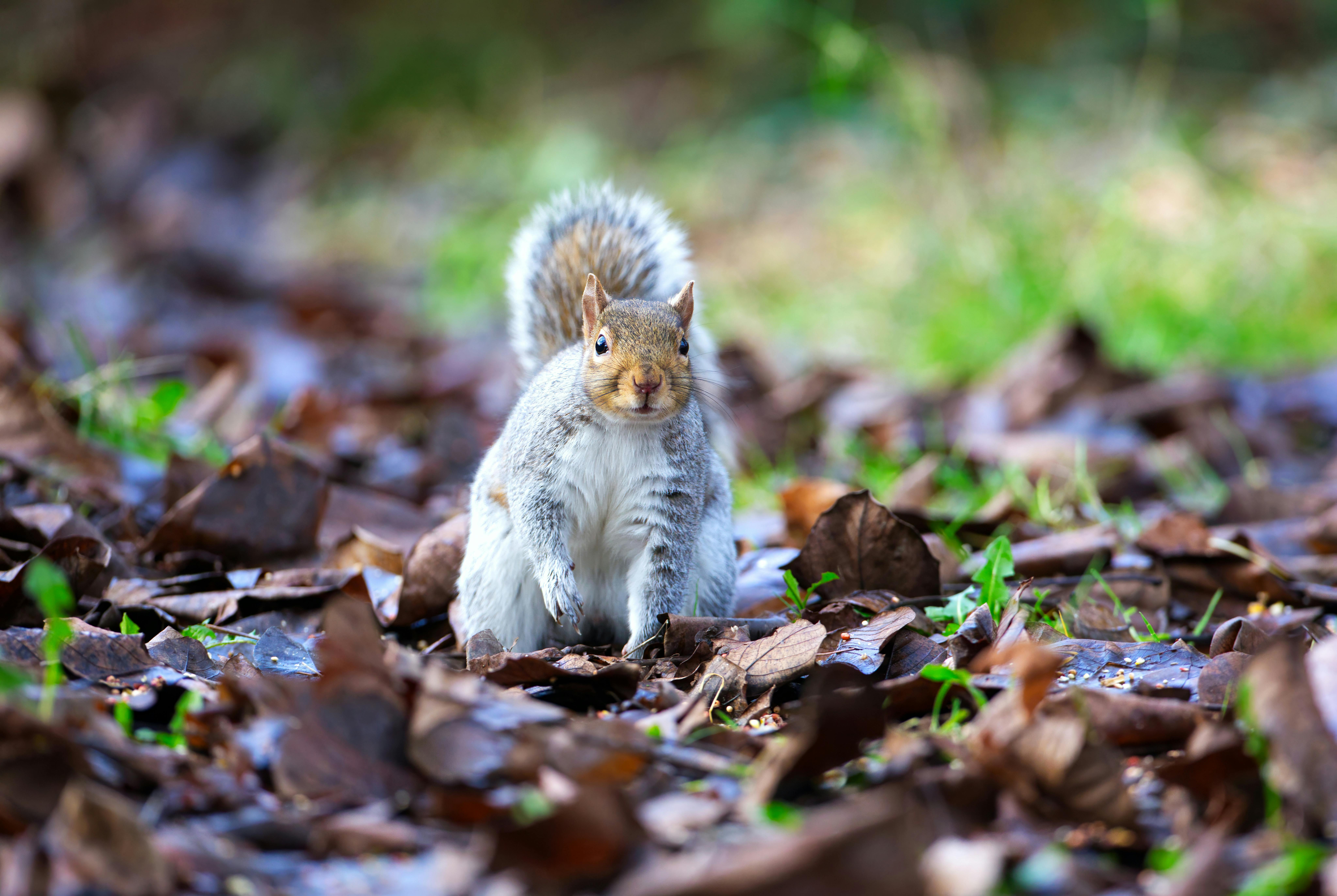 Close+All Photos, Download The BEST Free Close+All Stock Photos & HD Images