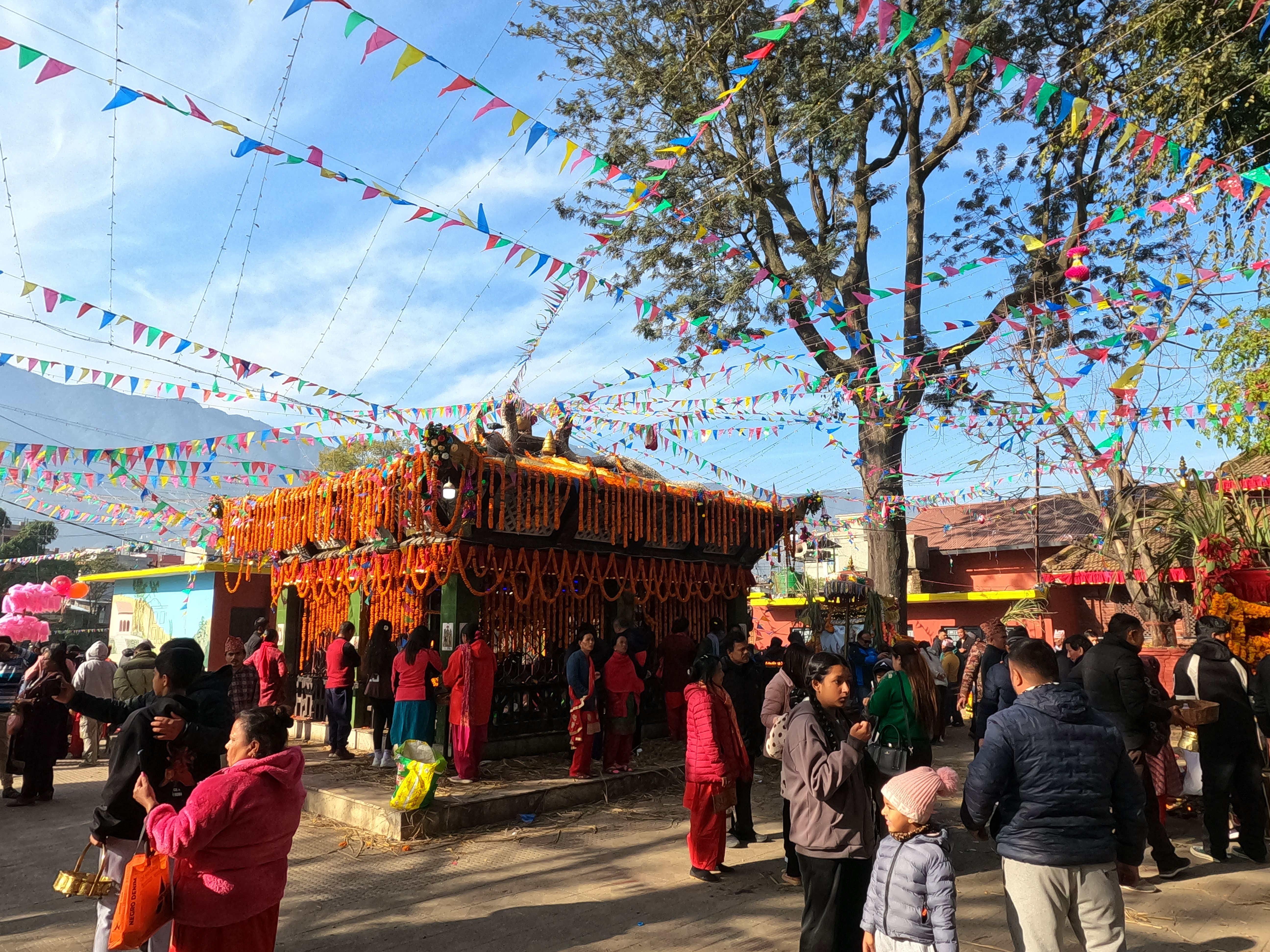 Colorful Festival Celebration at Temple Courtyard · Free Stock Photo