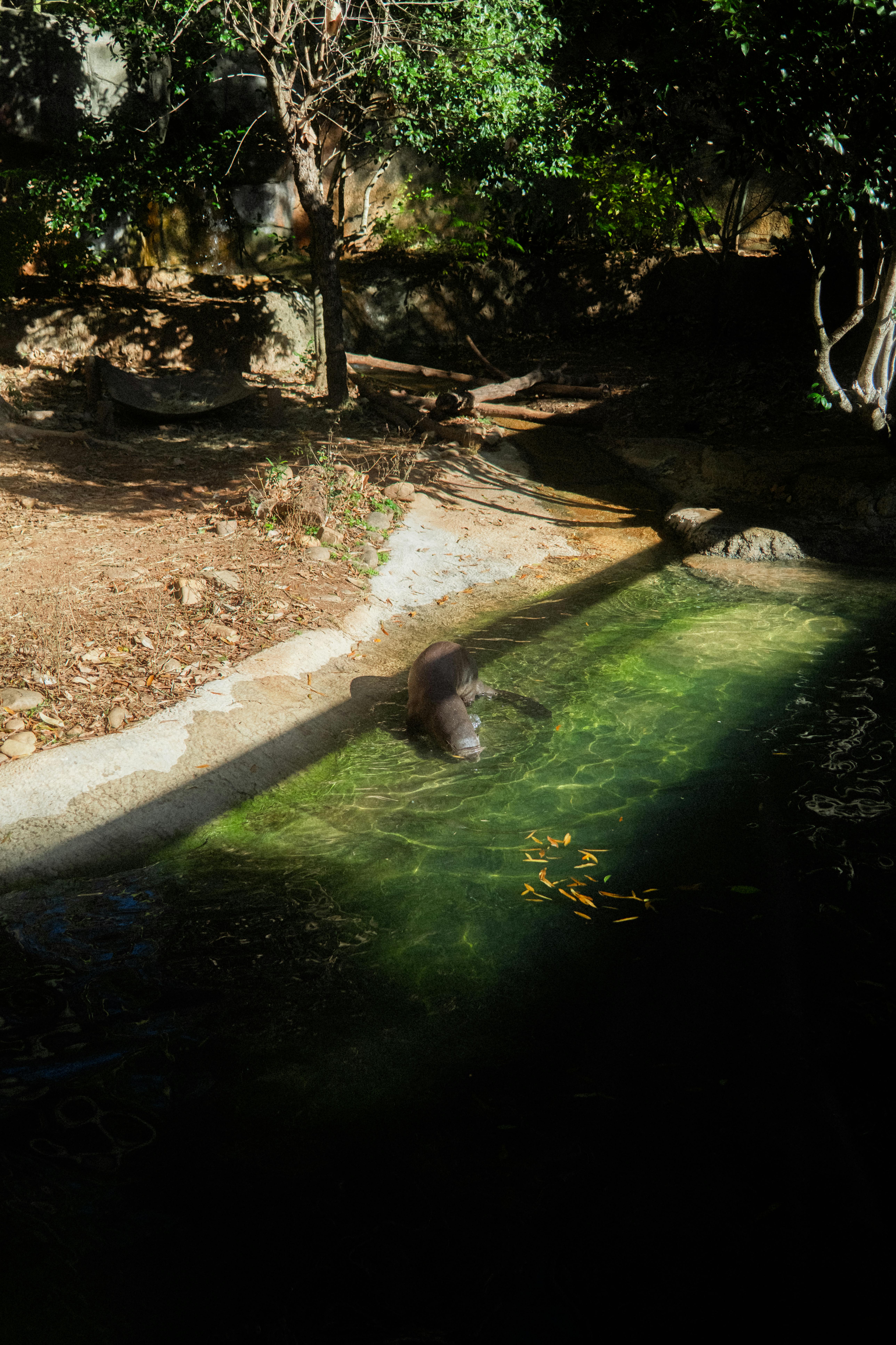 8 000+ Hd+bdid banque d’images et photos libres de droit ...