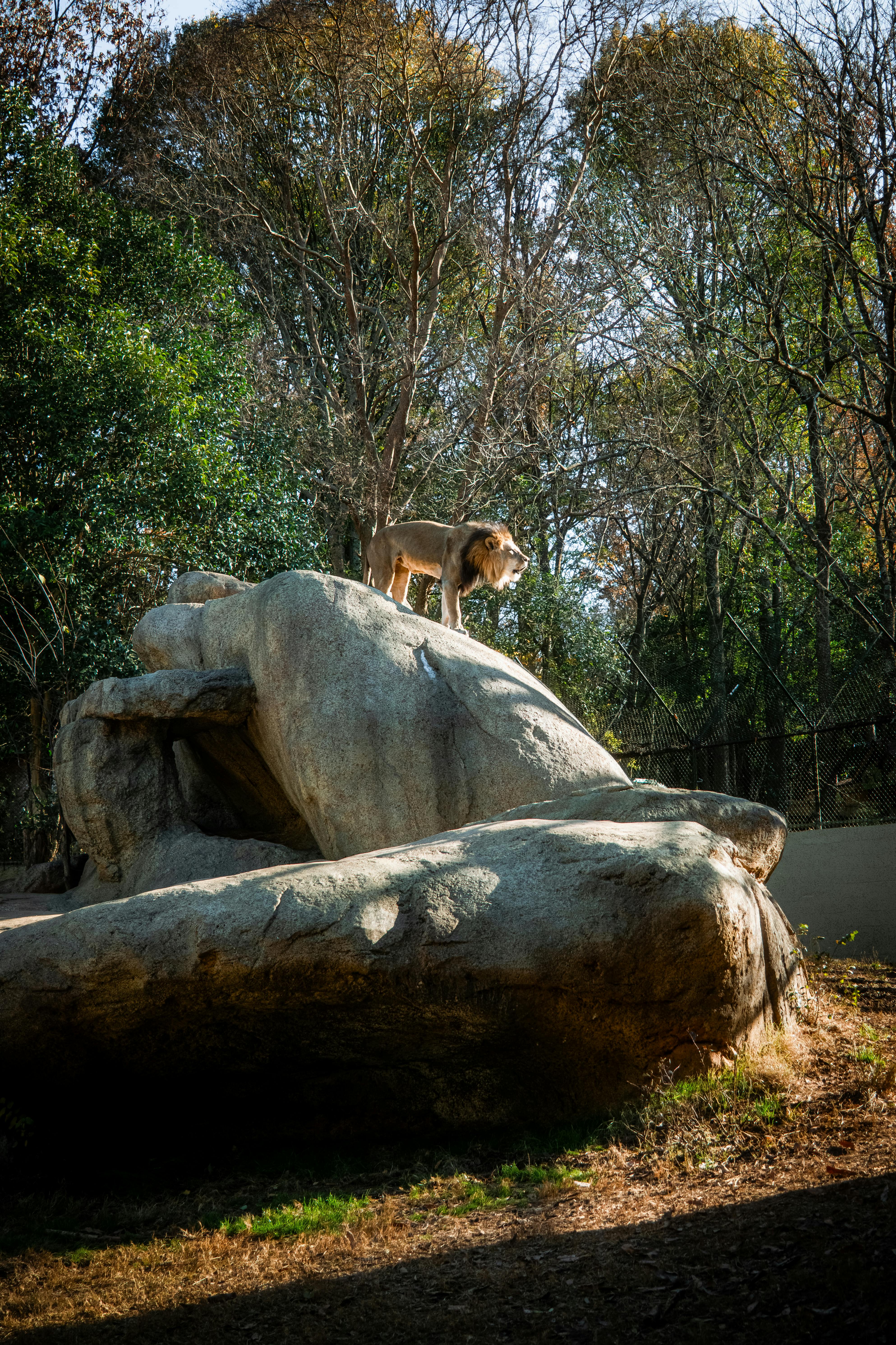 Curseforge+1.20.1+Download Photos, Download The BEST Free Curseforge+1. ...